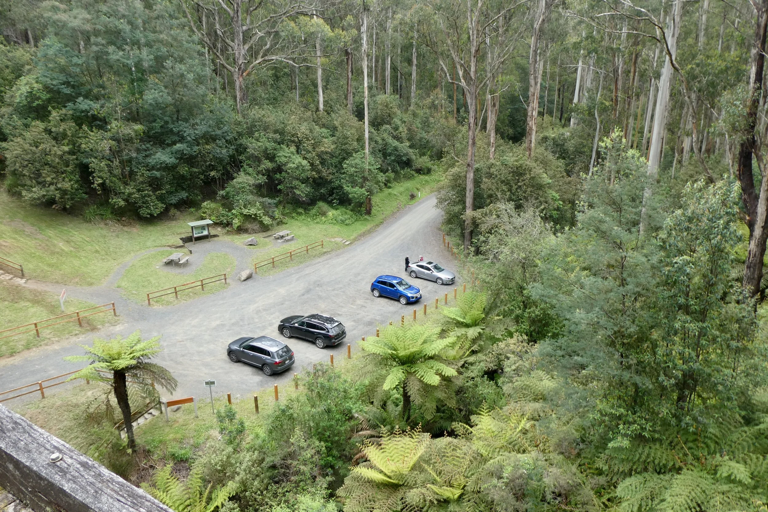 Noojee Trestle Rail Bridge — Girt By