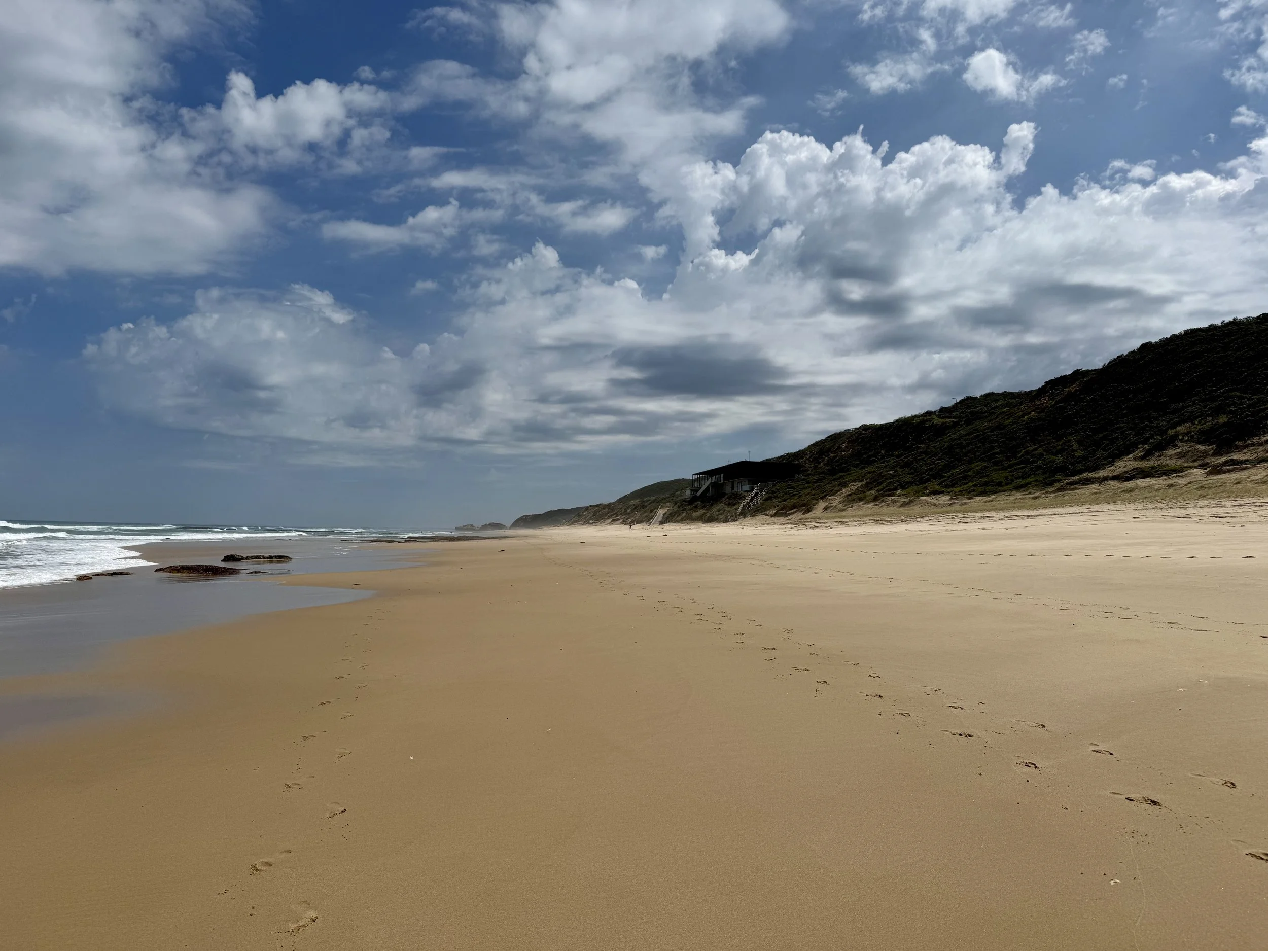 Portsea Back Beach — Girt By