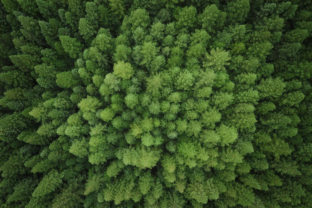 Top 5 Landscape Photography Locations in Victoria, Australia ...