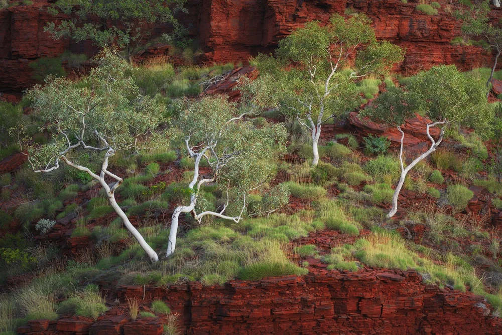 Focal length essentials: Why 16mm isn’t (always) the best for landscape ...