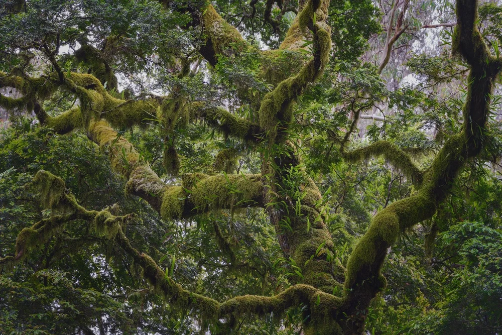 Top 5 Landscape Photography Locations in Victoria, Australia ...