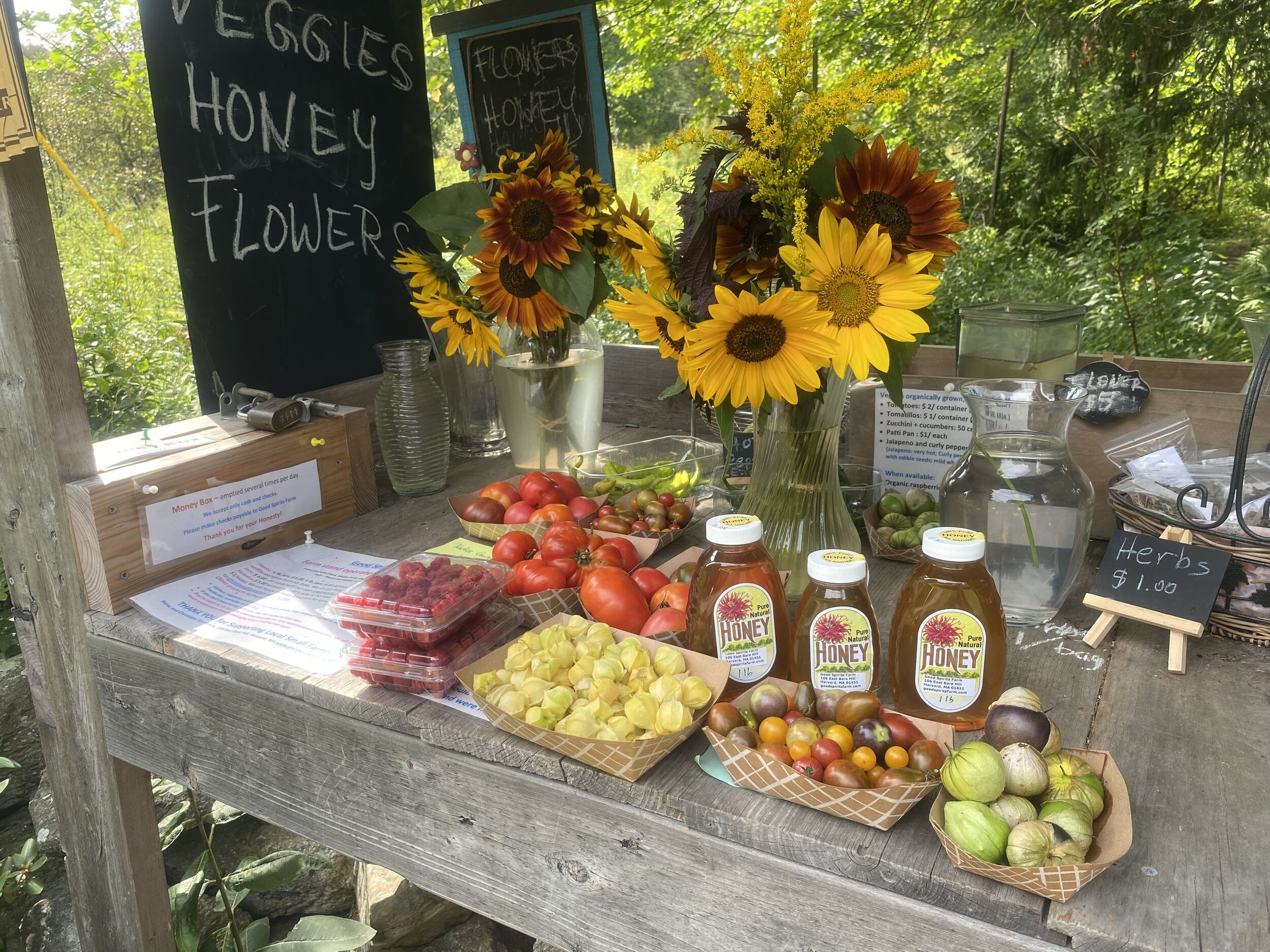 Newsletter September 12th — Harvard General Store