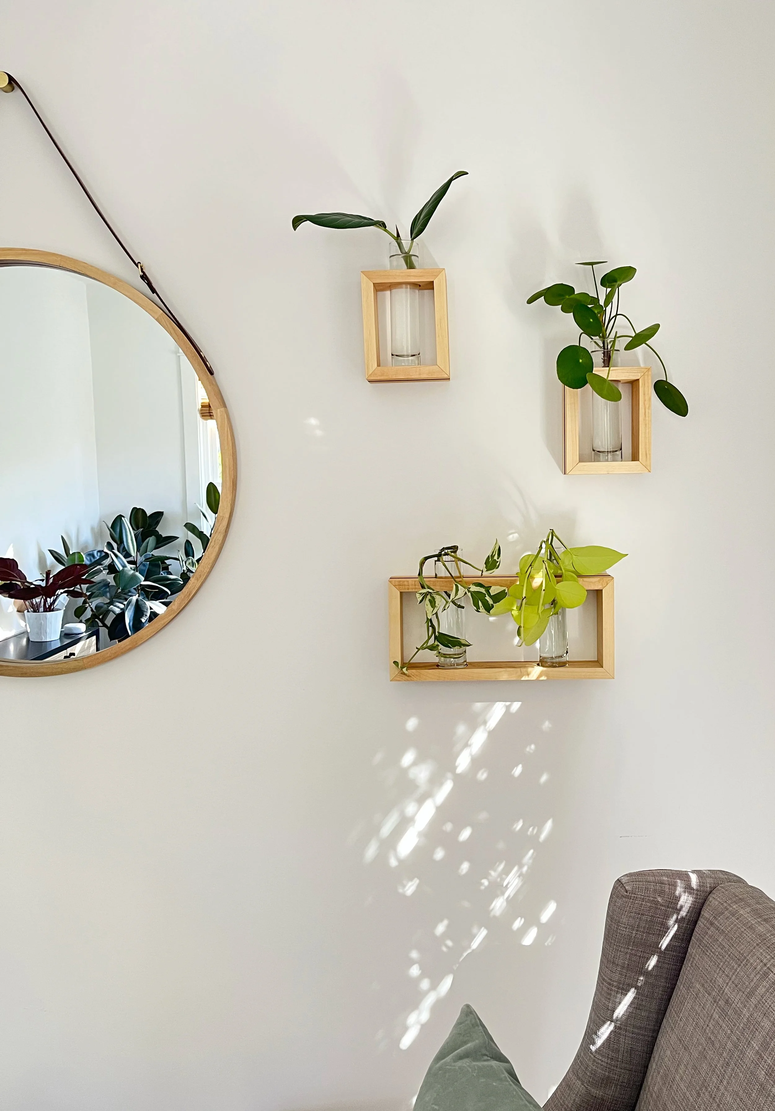 Creating a Plant Wall with Modern Botanical's Planters