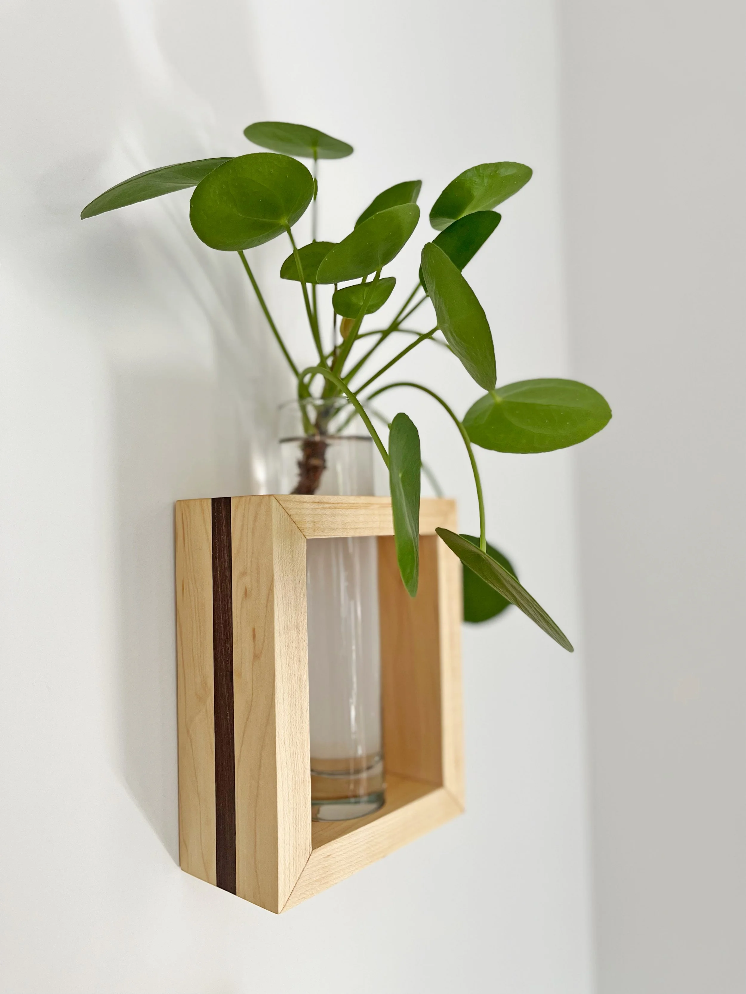 Creating a Plant Wall with Modern Botanical's Planters