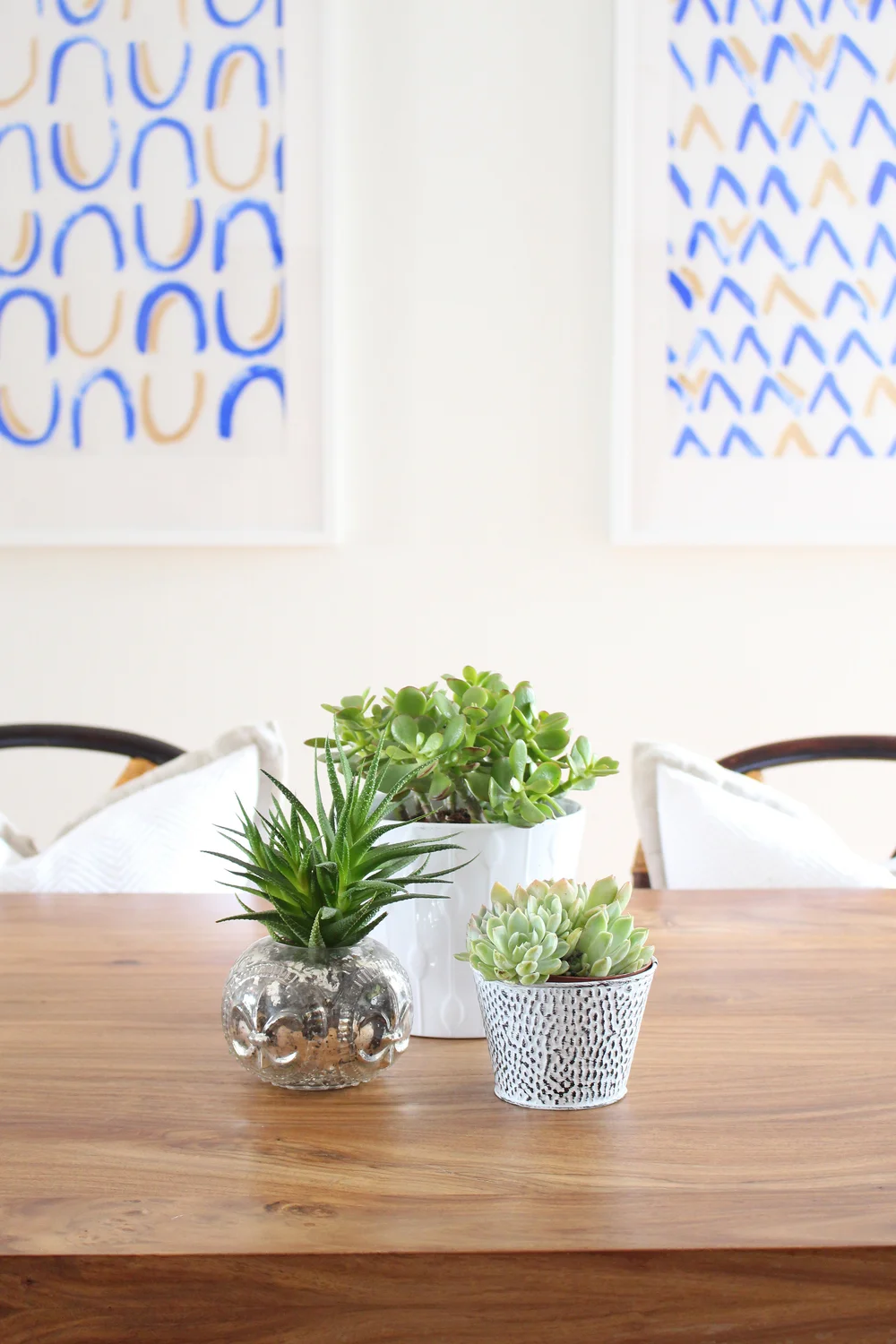 12 Modern Planters and How To Pick The Right One For Your Plant