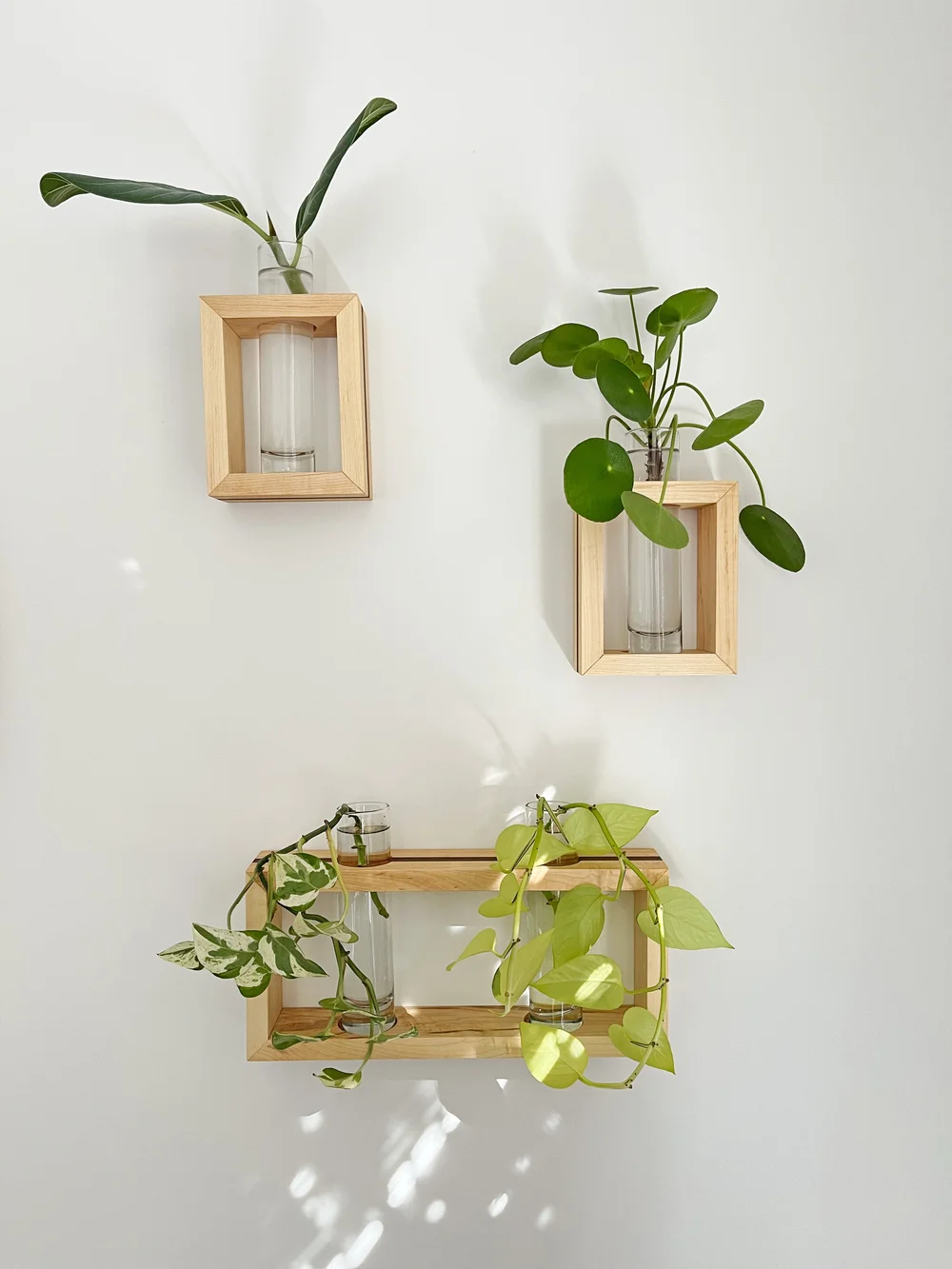Creating a Plant Wall with Modern Botanical's Planters