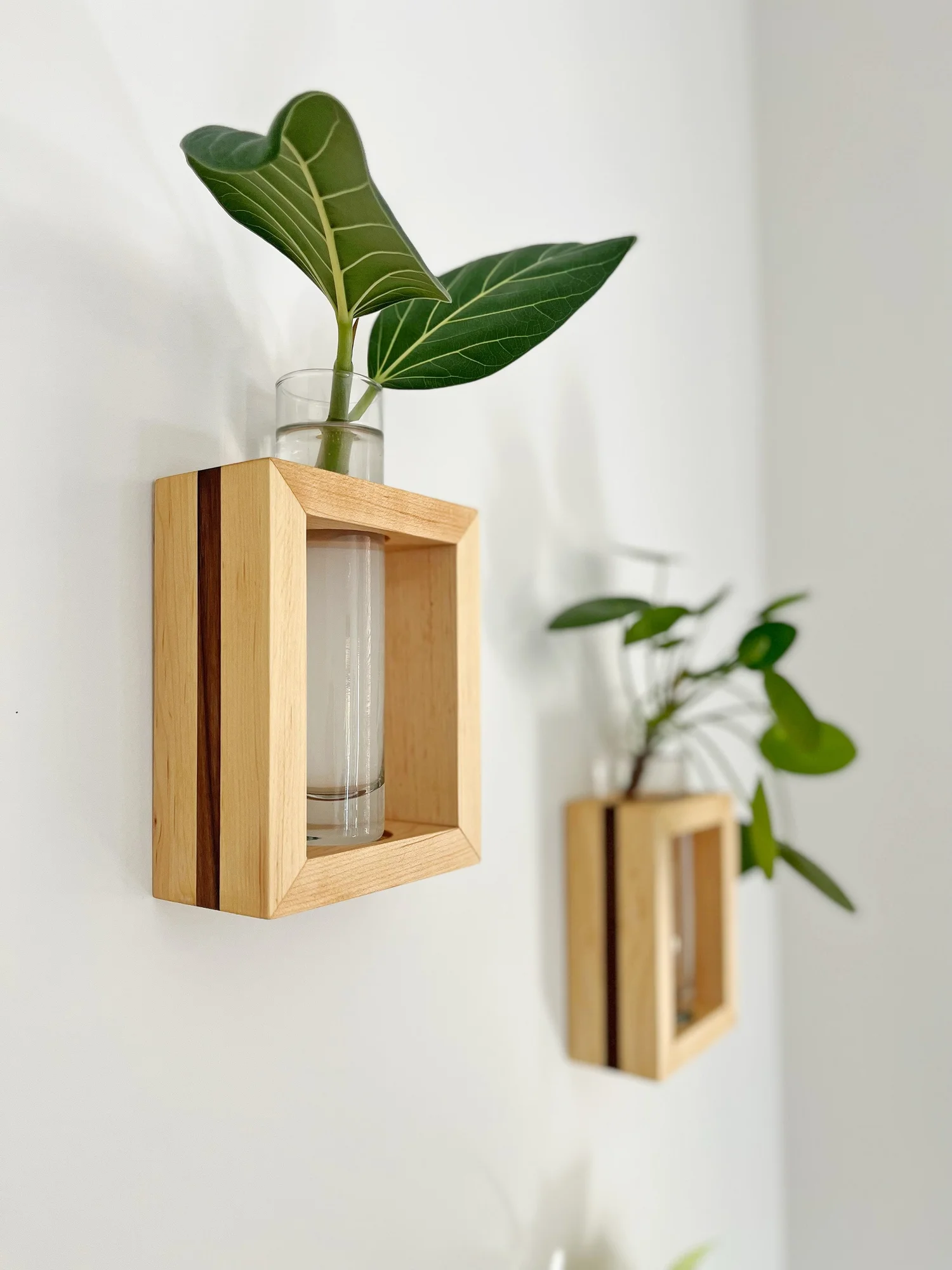 Creating a Plant Wall with Modern Botanical's Planters