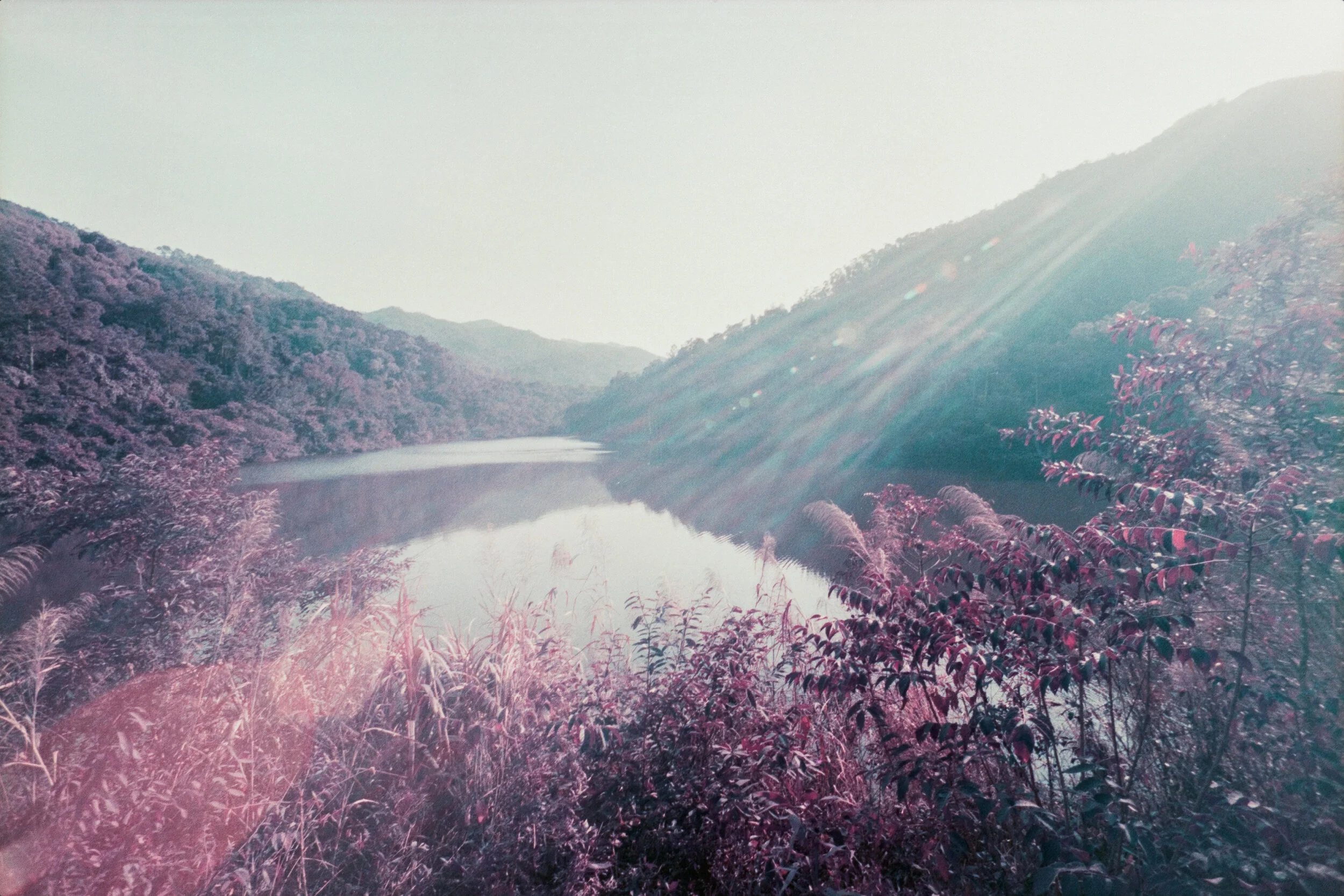 Ultra Violet — Anakin Yeung | Photographer | Visual Artis — Anakin ...