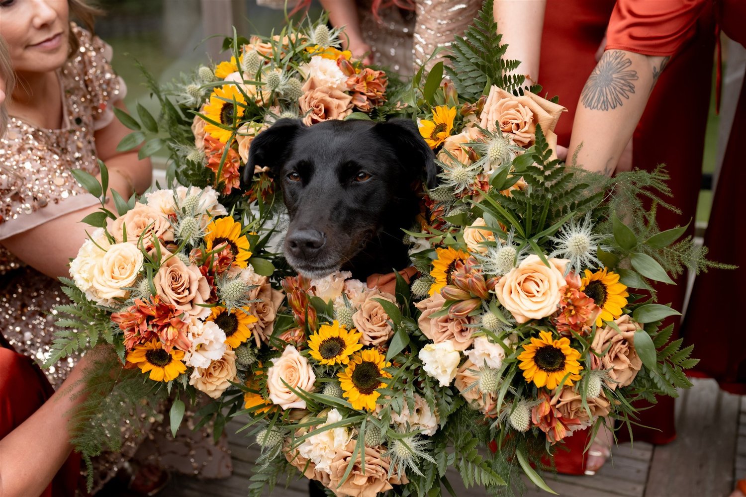 Blog - Real Weddings - Celebrant Advice - Ceremony Inspiration — My ...