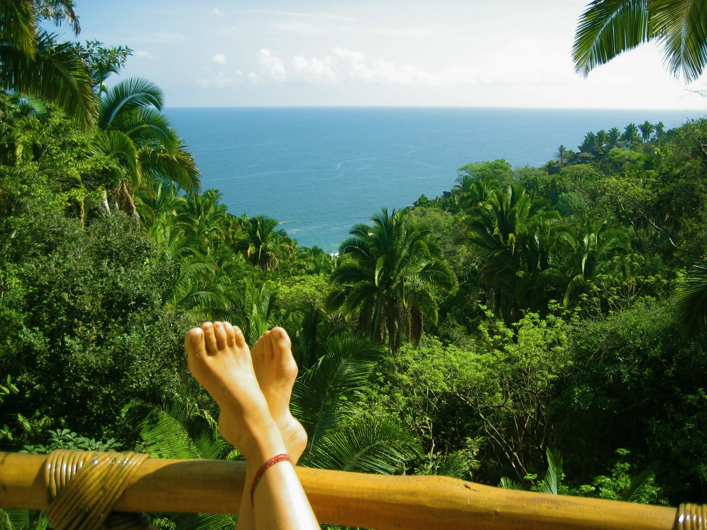 10 Tips For Living The Jungle Life (Wherever Your Are) — Wildpreneurs