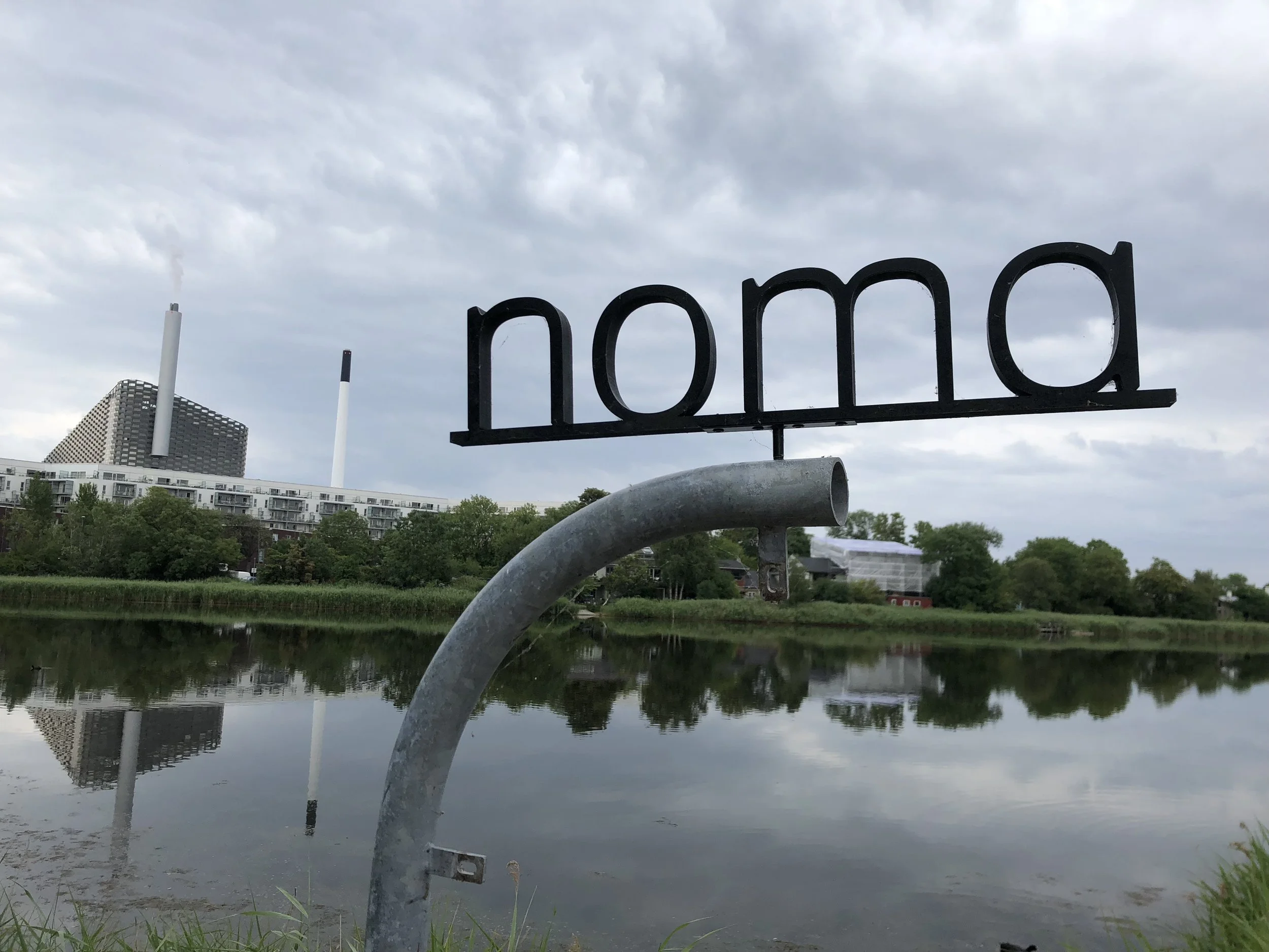 Noma: A Review of the Vegetable Season Menu — scallionpancake