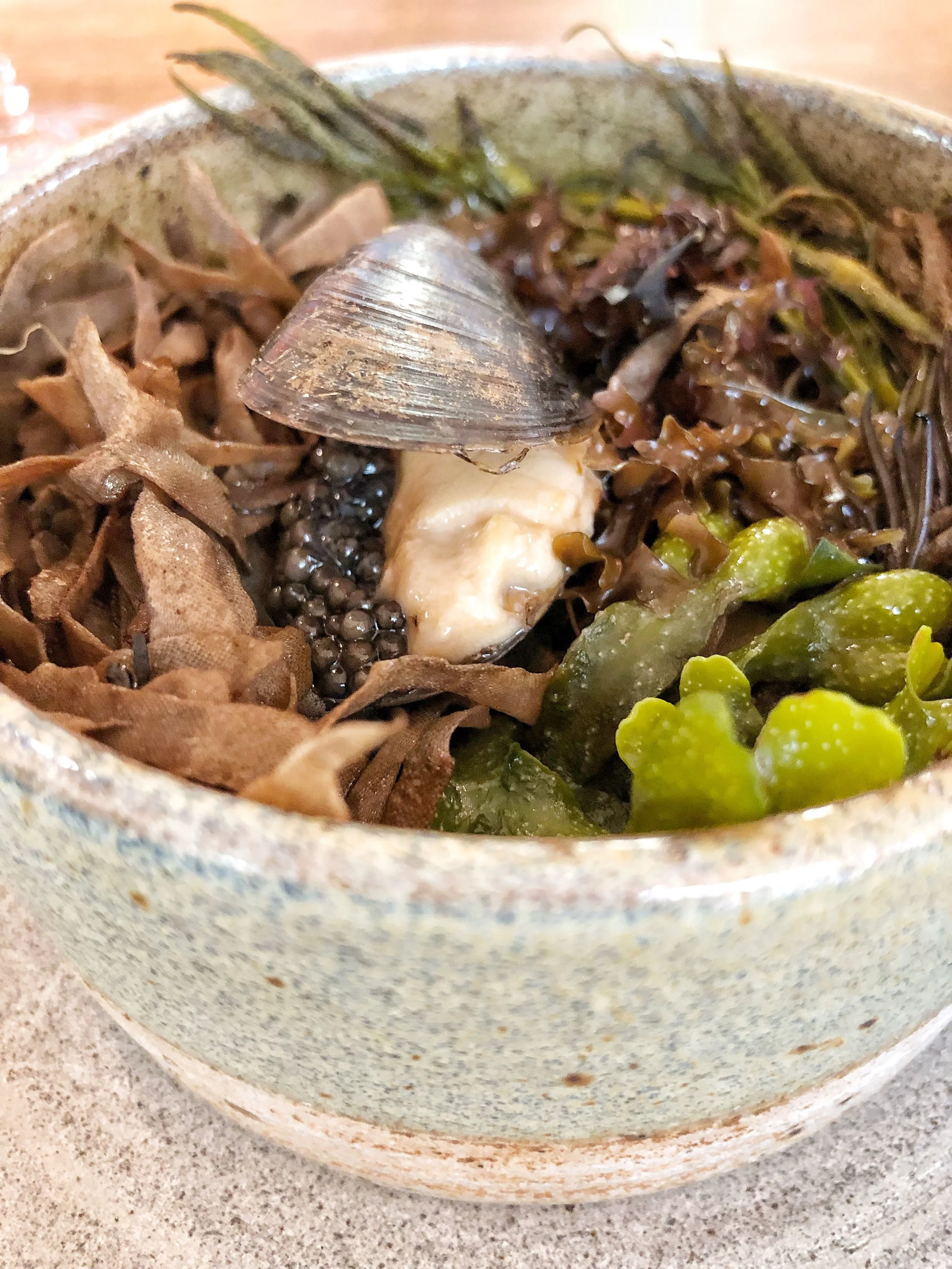 Noma: A Review of the Seafood Season Menu — scallionpancake