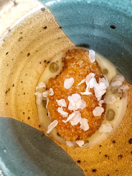 Noma: A Review of the Seafood Season Menu — scallionpancake