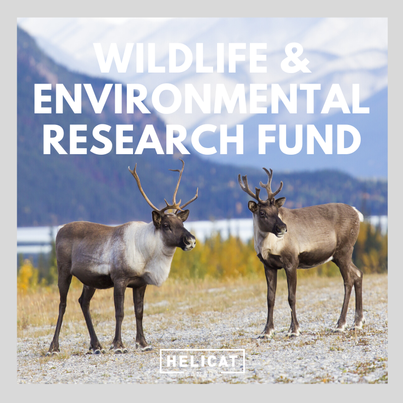 Wildlife & Environmental Research Fund — Helicat Canada