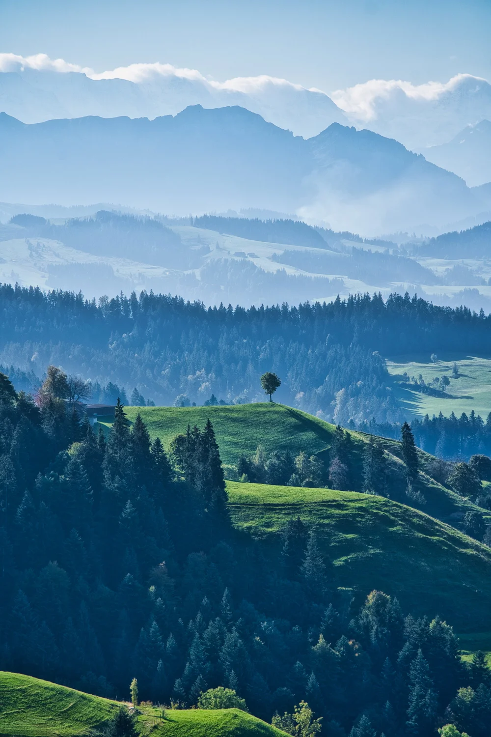 Helvetic Kitchen, the cookbook