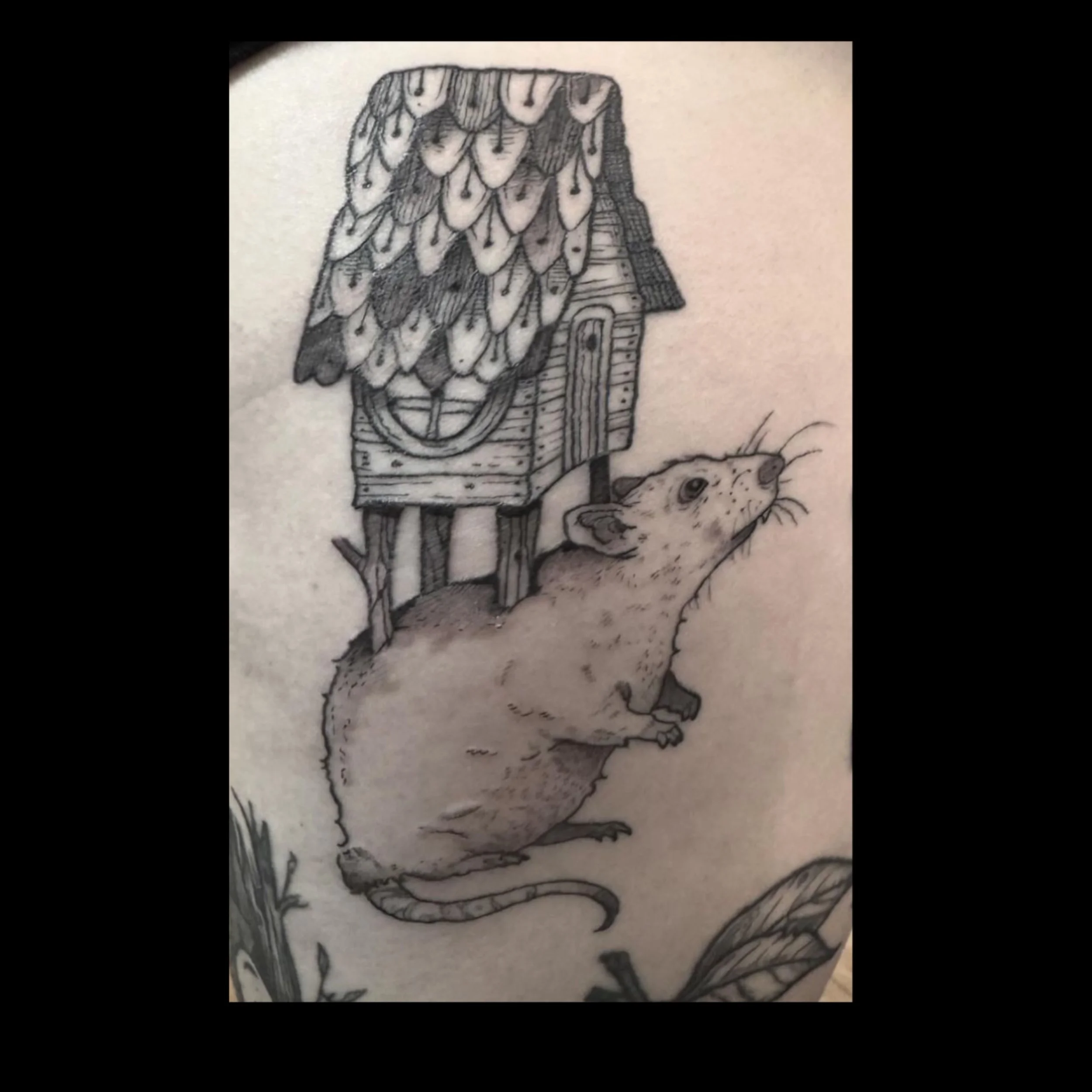 Rick Beaupre — blueprint gallery