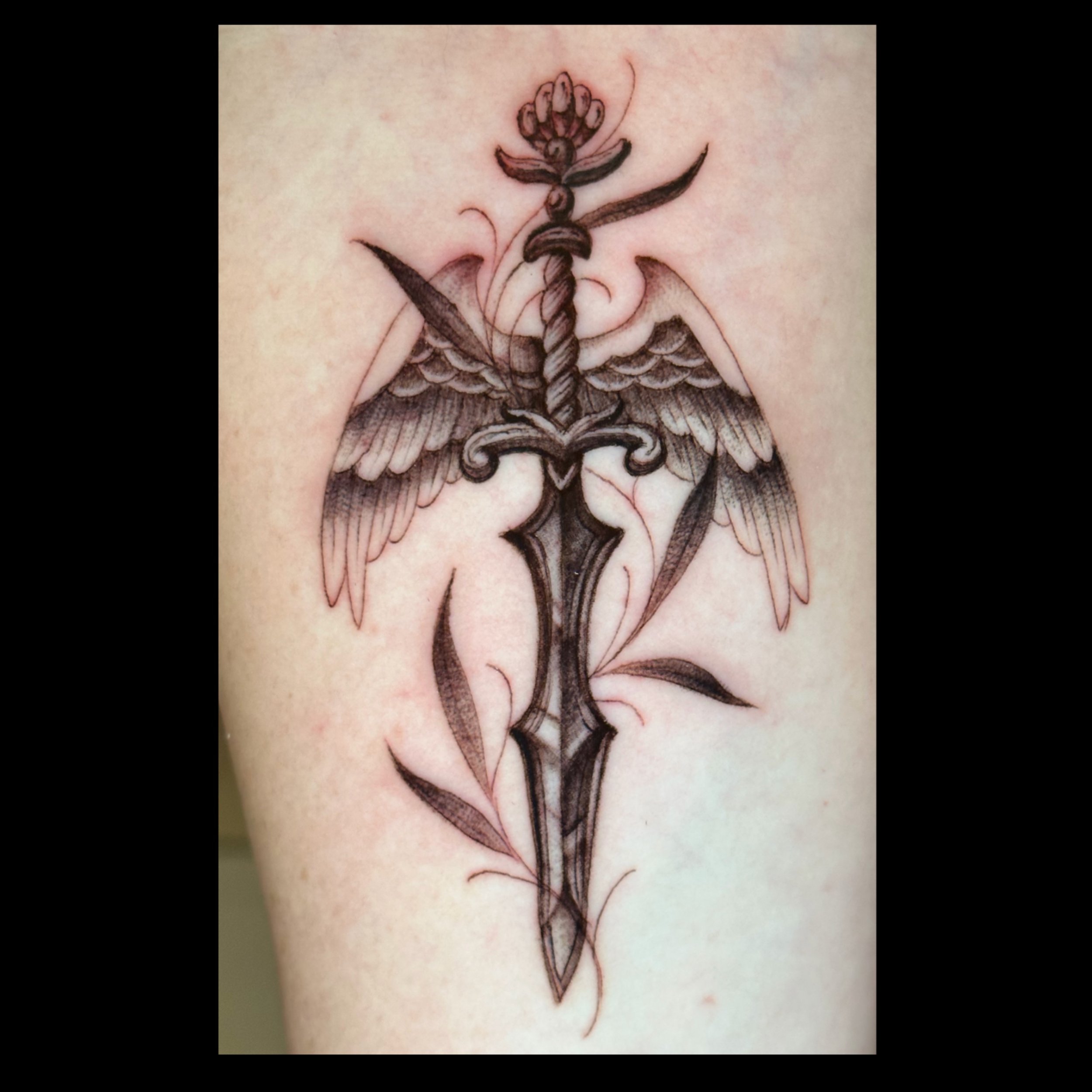 Tim Brewer — blueprint gallery