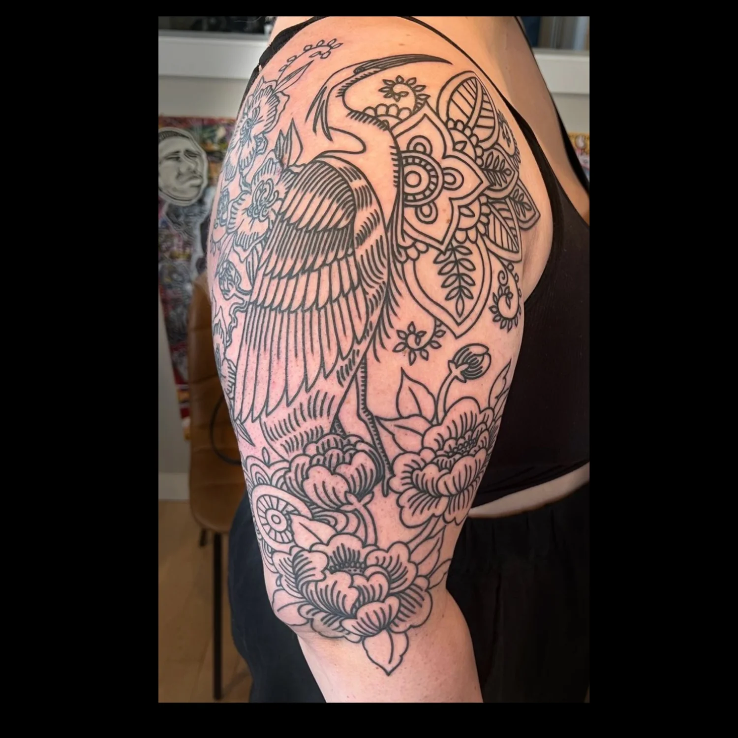 Tim Brewer — blueprint gallery