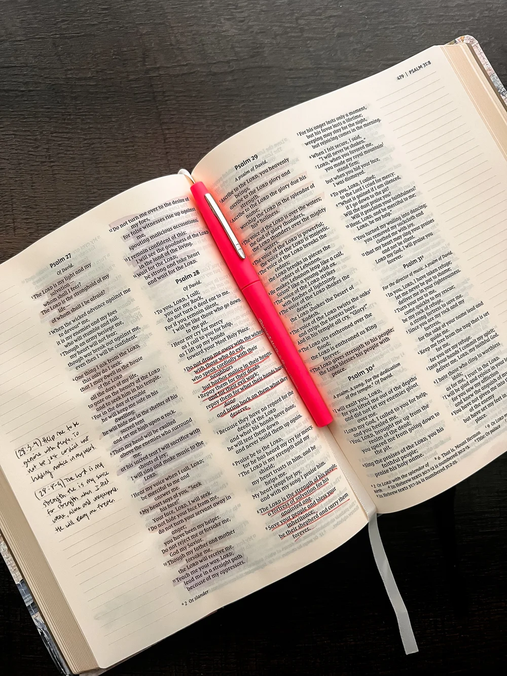 10 Scriptures To Pray When You Are Frustrated — Jasmine Diane