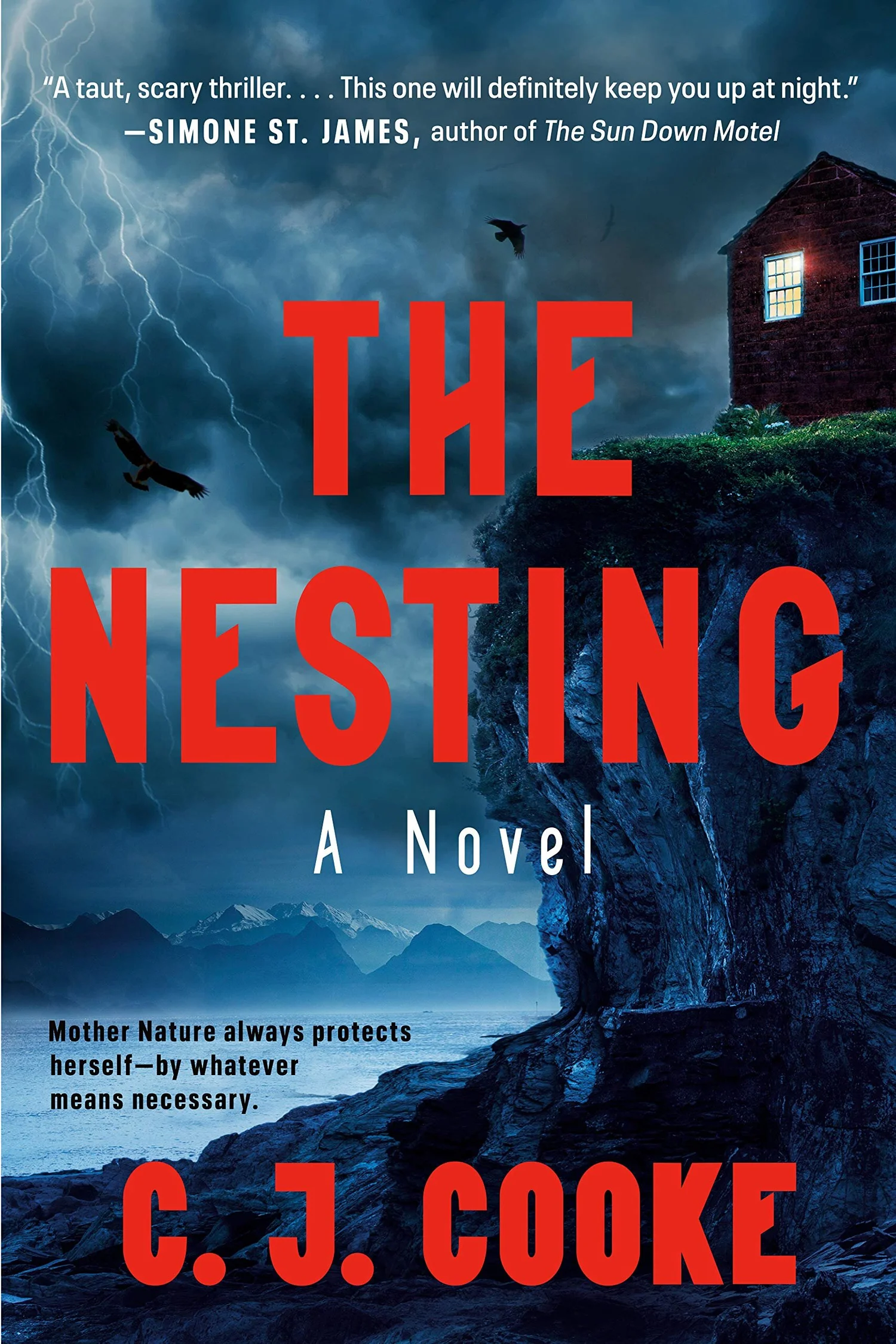 Book Review: THE NESTING by C.J. Cooke — Crime by the Book