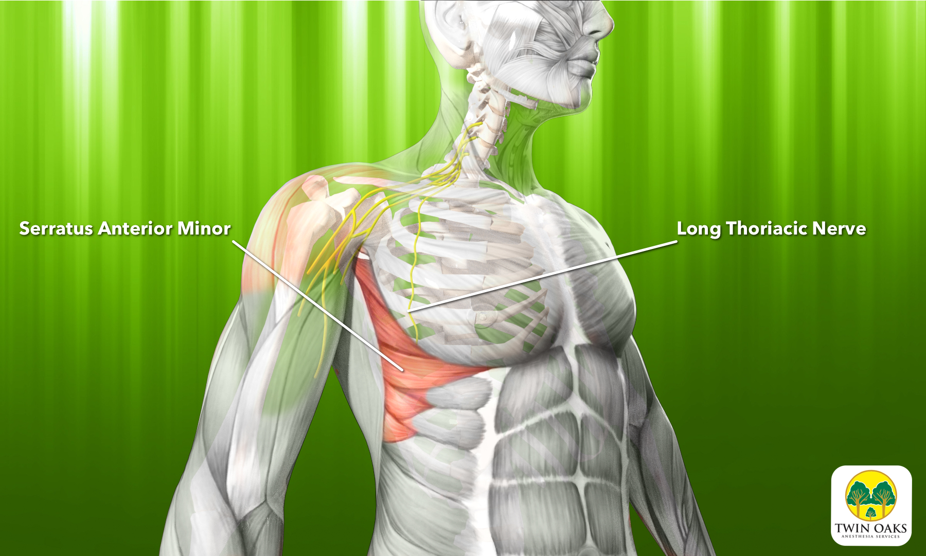 Procedure Notes — CRNA Conferences - Twin Oaks Anesthesia