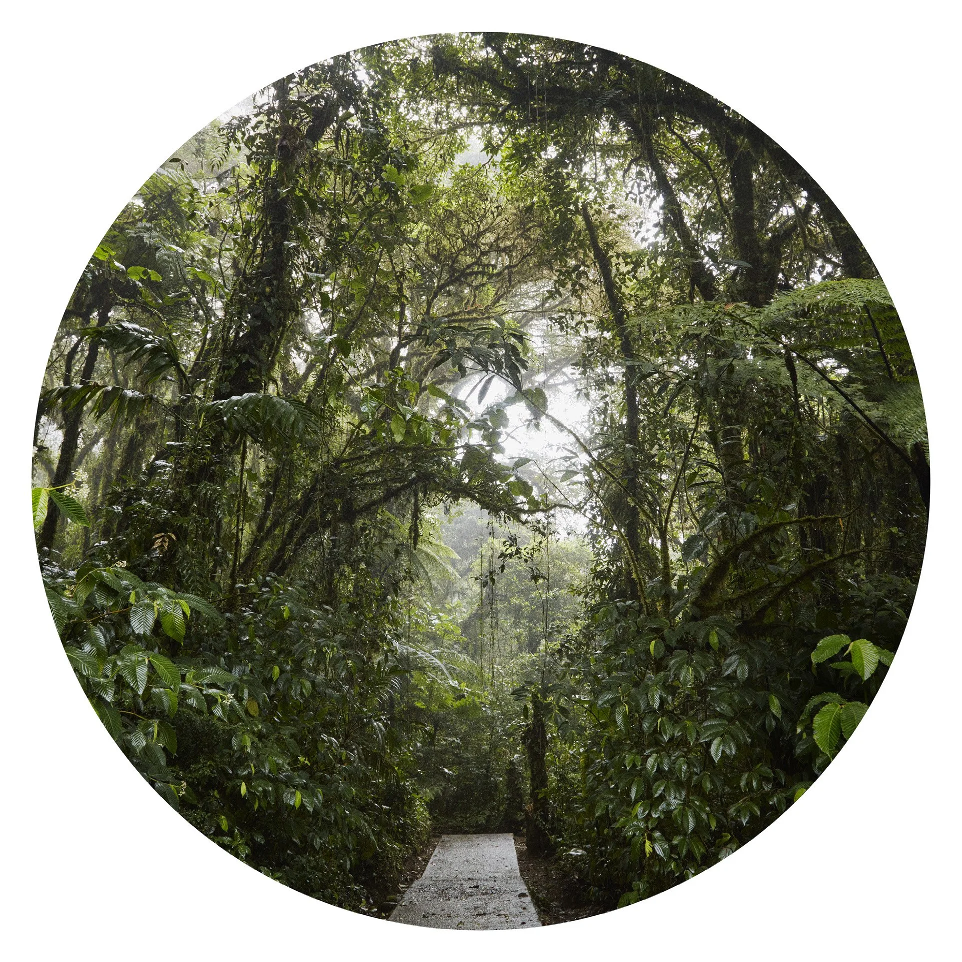 WILLAS contemporary — HELENE SCHMITZ