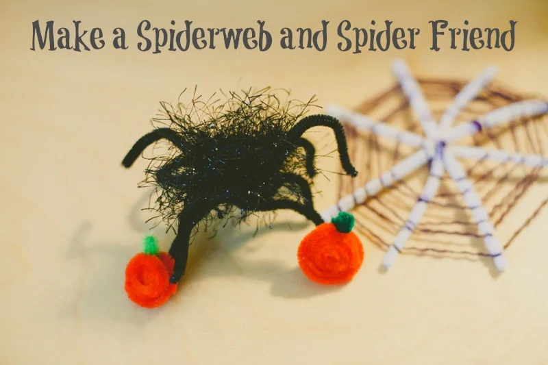 Spiderwebs and Spider Craft — Forest Fairy Crafts