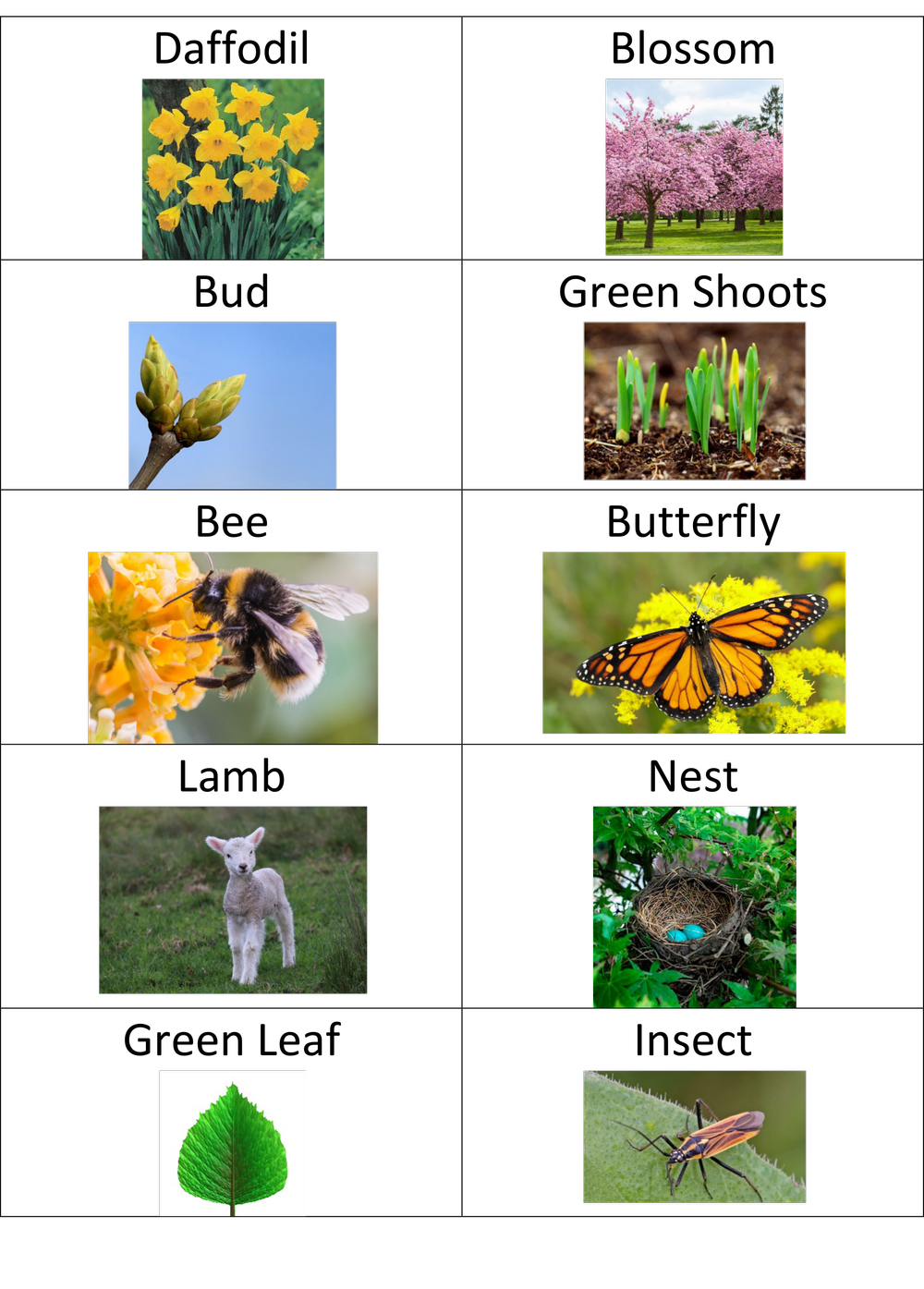 FS2 Home Learning Week 5 — Dale Community Primary School