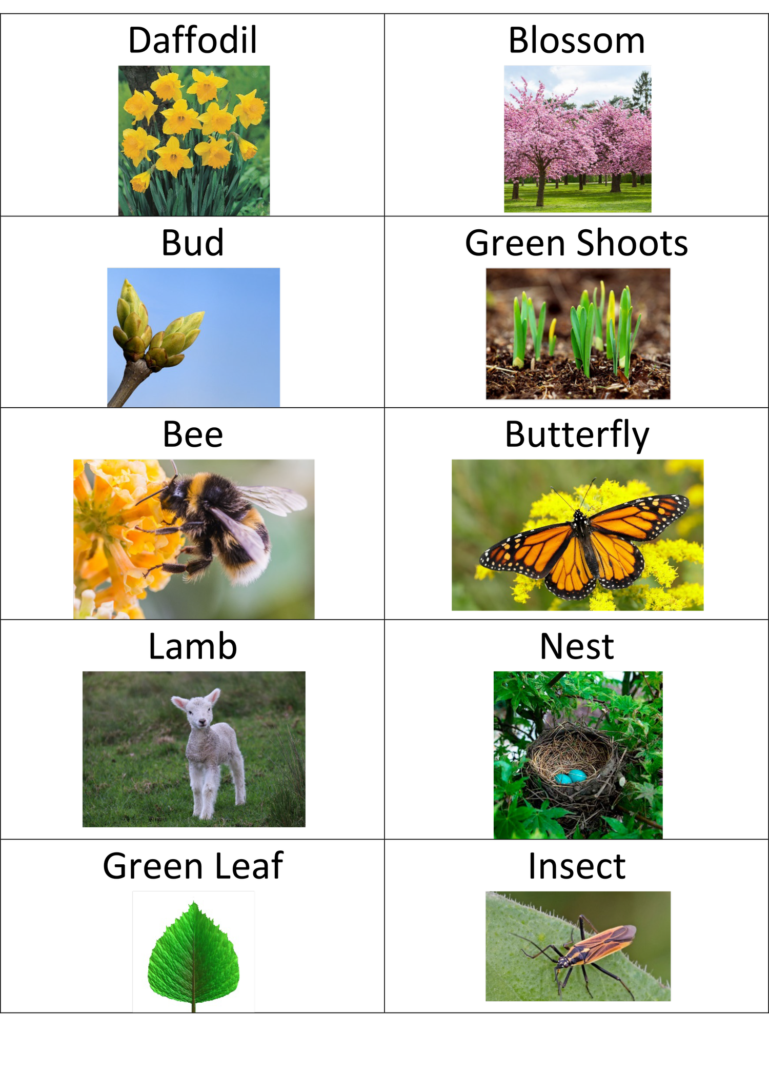 FS2 Home Learning Week 5 — Dale Community Primary School