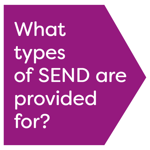 What Types of SEND — Dale Community Primary School