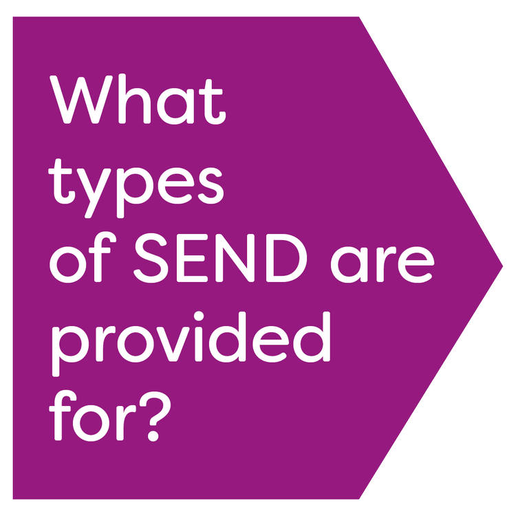 What Types of SEND — Dale Community Primary School