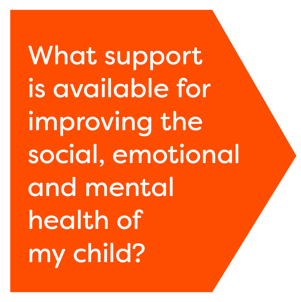 SEND Mental Health — Dale Community Primary School