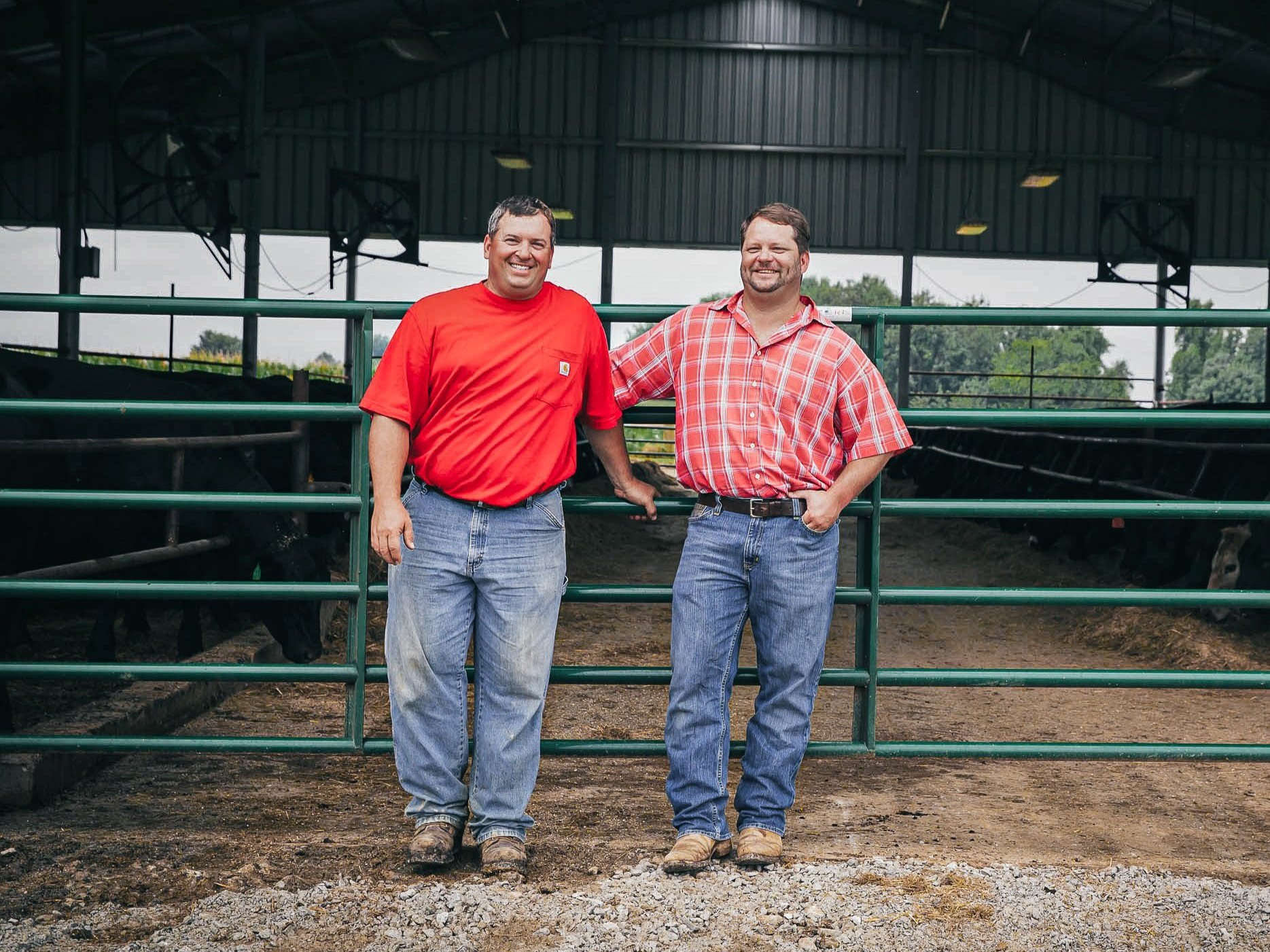 Our Farm — Black Hawk Farms | American Wagyu Beef