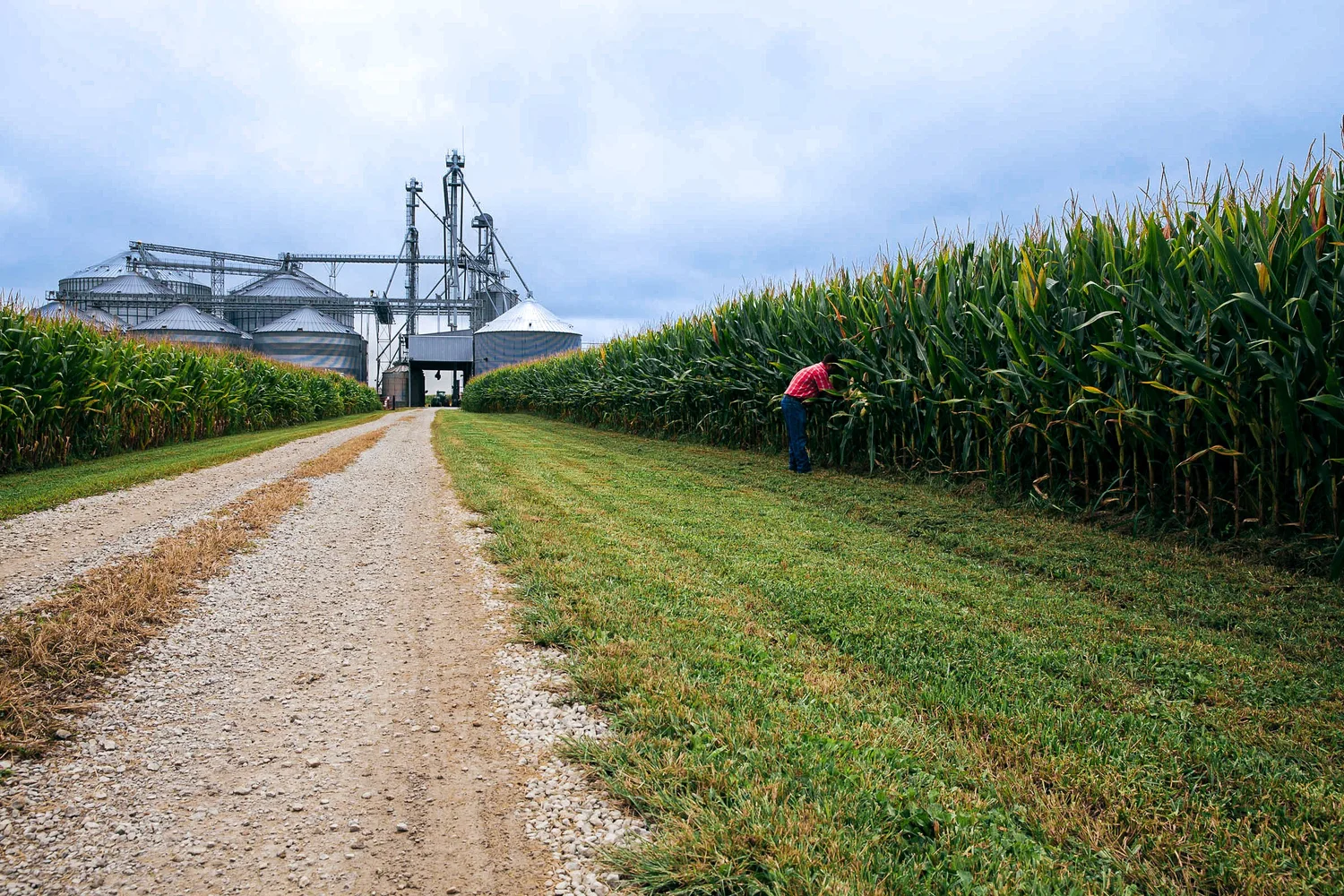 Black Hawk Farms | American Wagyu Beef