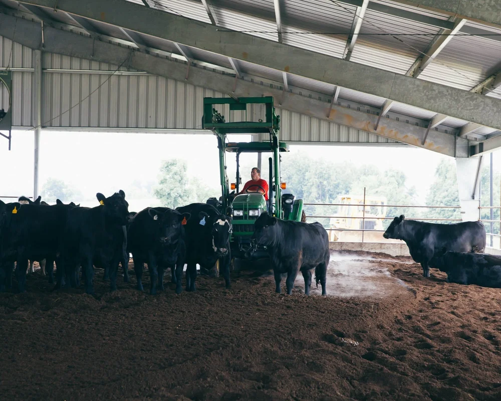 Our Process — Black Hawk Farms | American Wagyu Beef