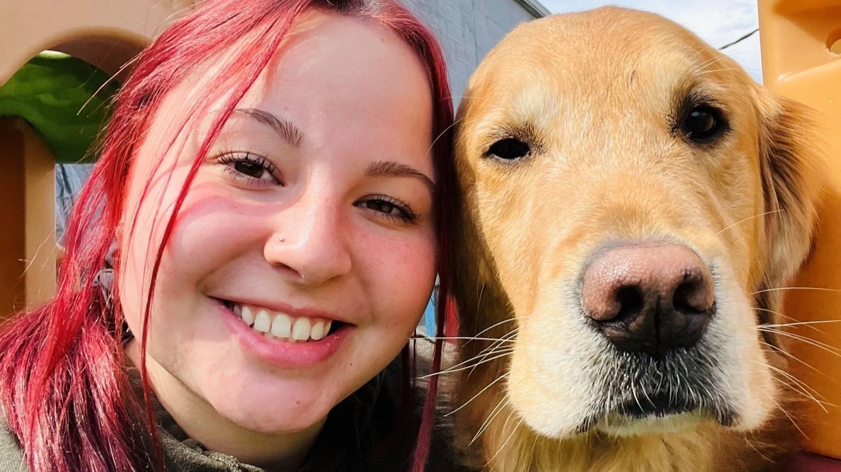 Meet the Staff — Crazy Canines