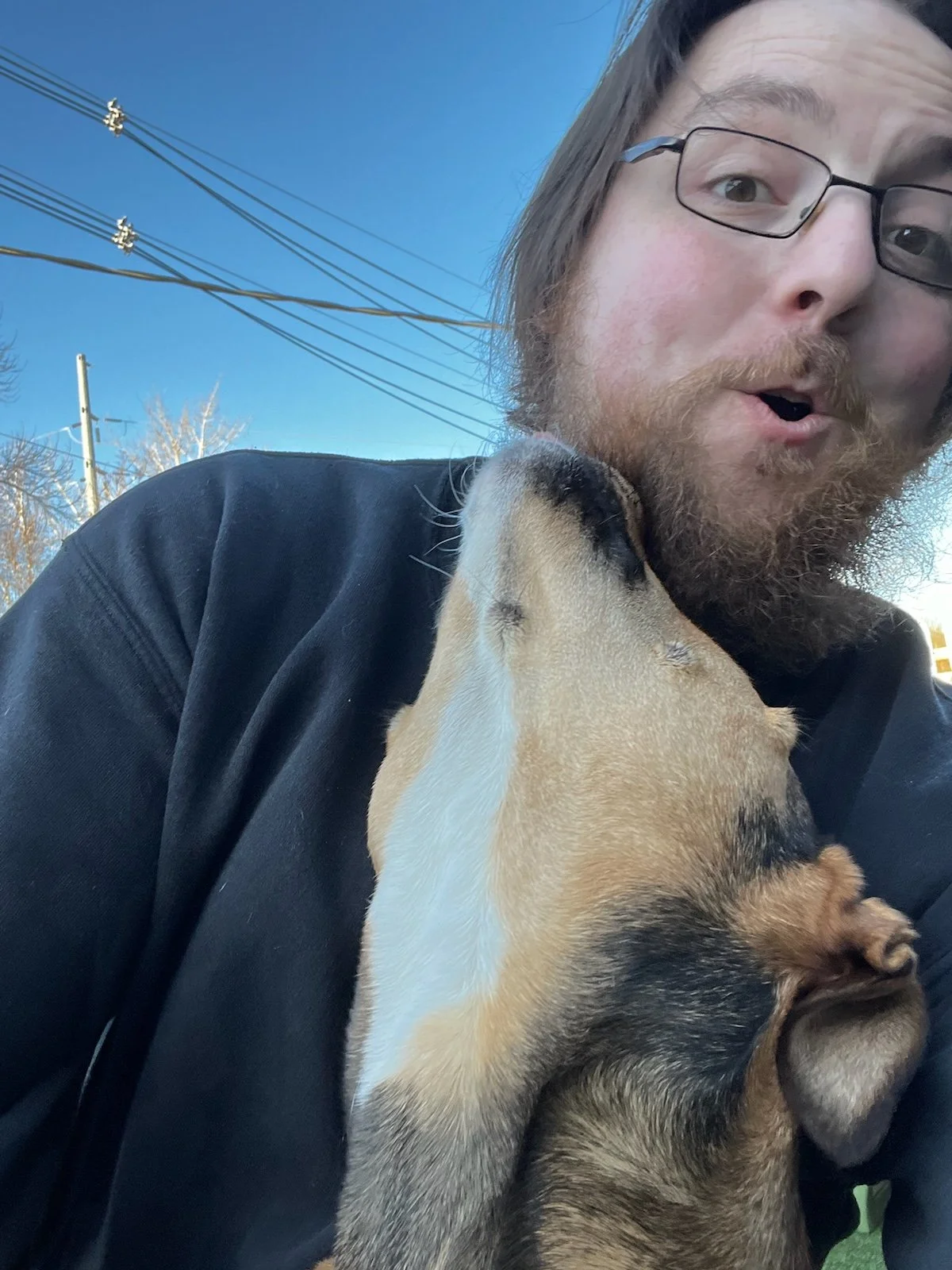 Meet the Staff — Crazy Canines