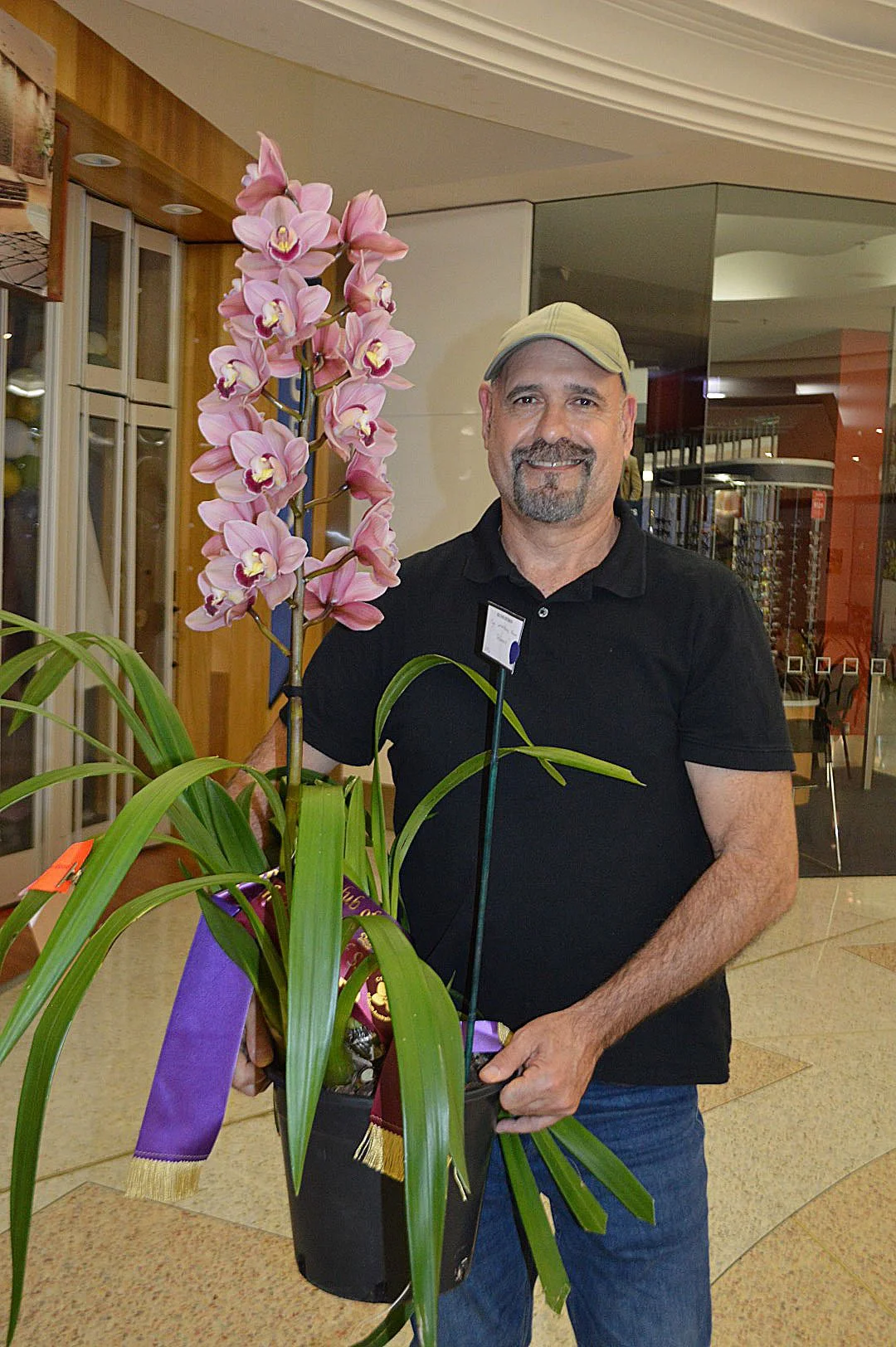Spring Show 2022 — Cymbidium Orchid Club of South Australia Inc