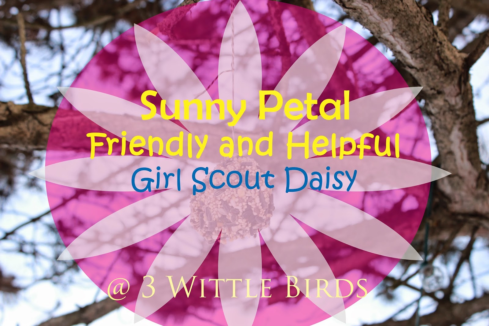 Girl Scout Daisy Petals Printable