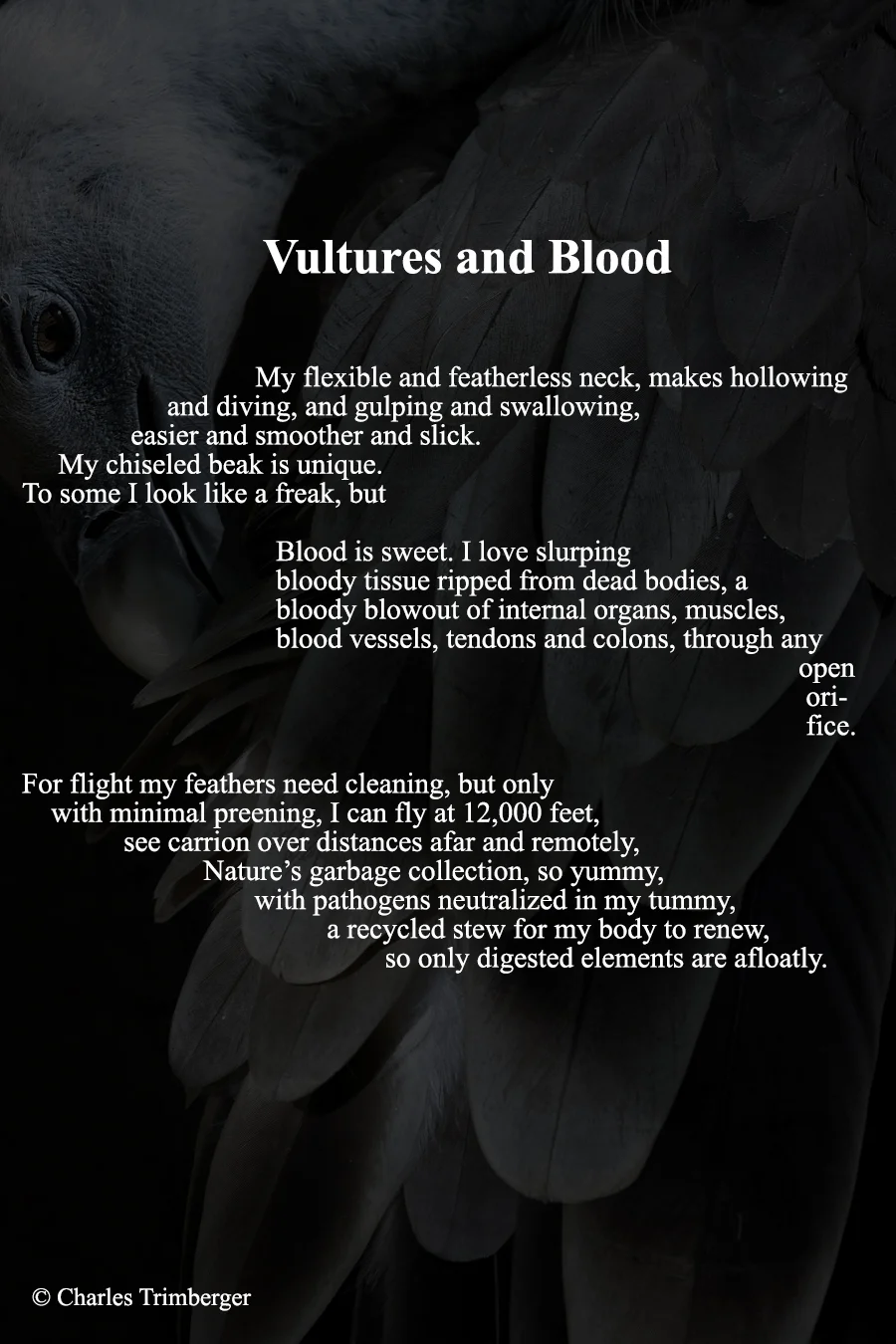 Bloods Poems