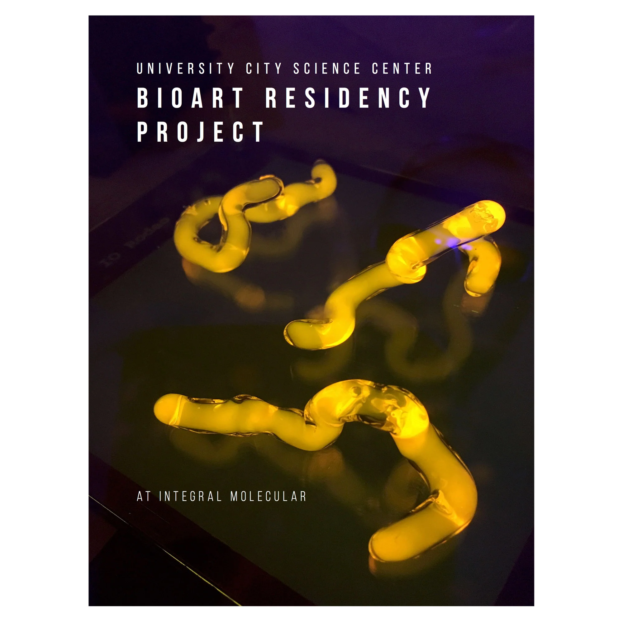 Publications & Catalogs — Laura Splan