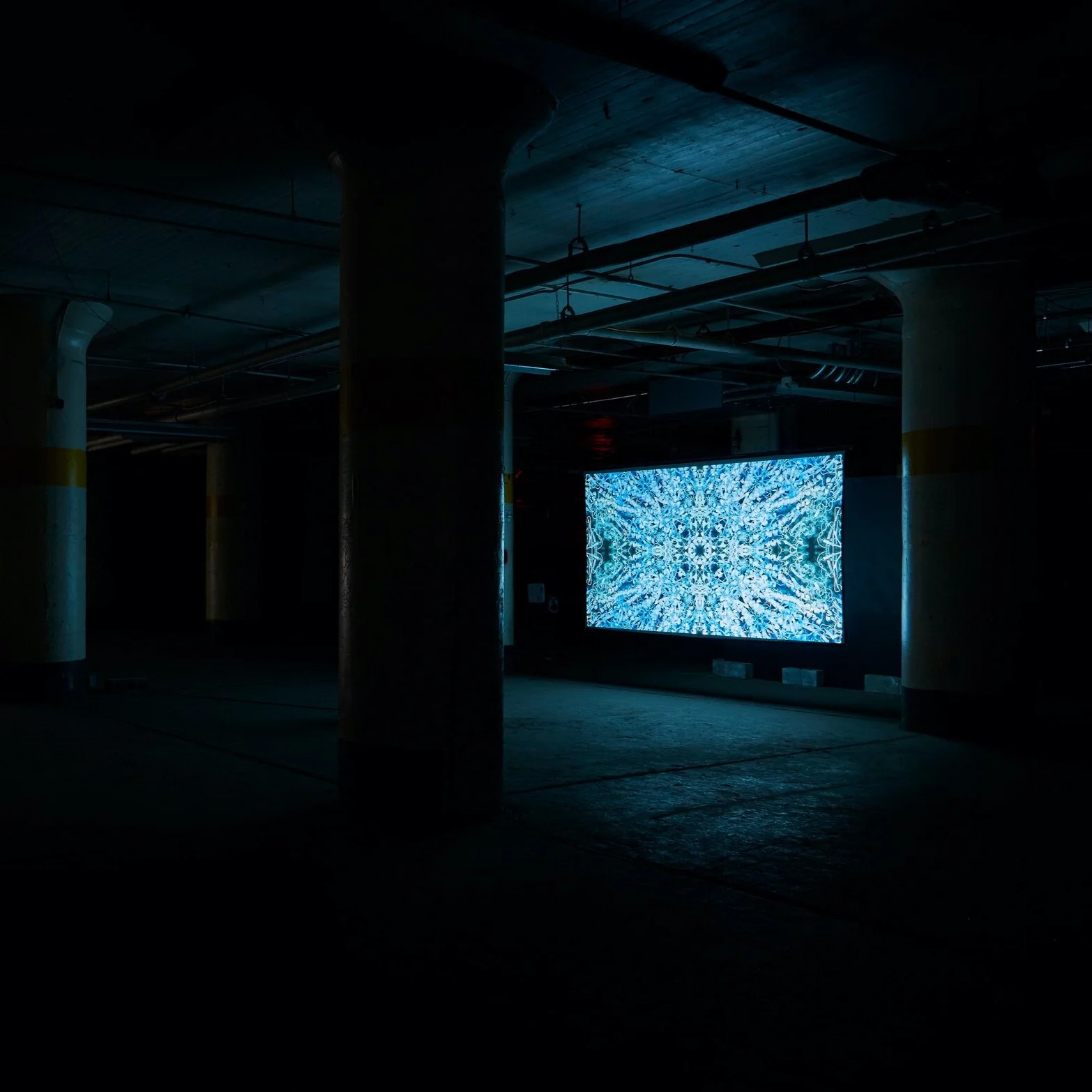 Press & Media — Laura Splan