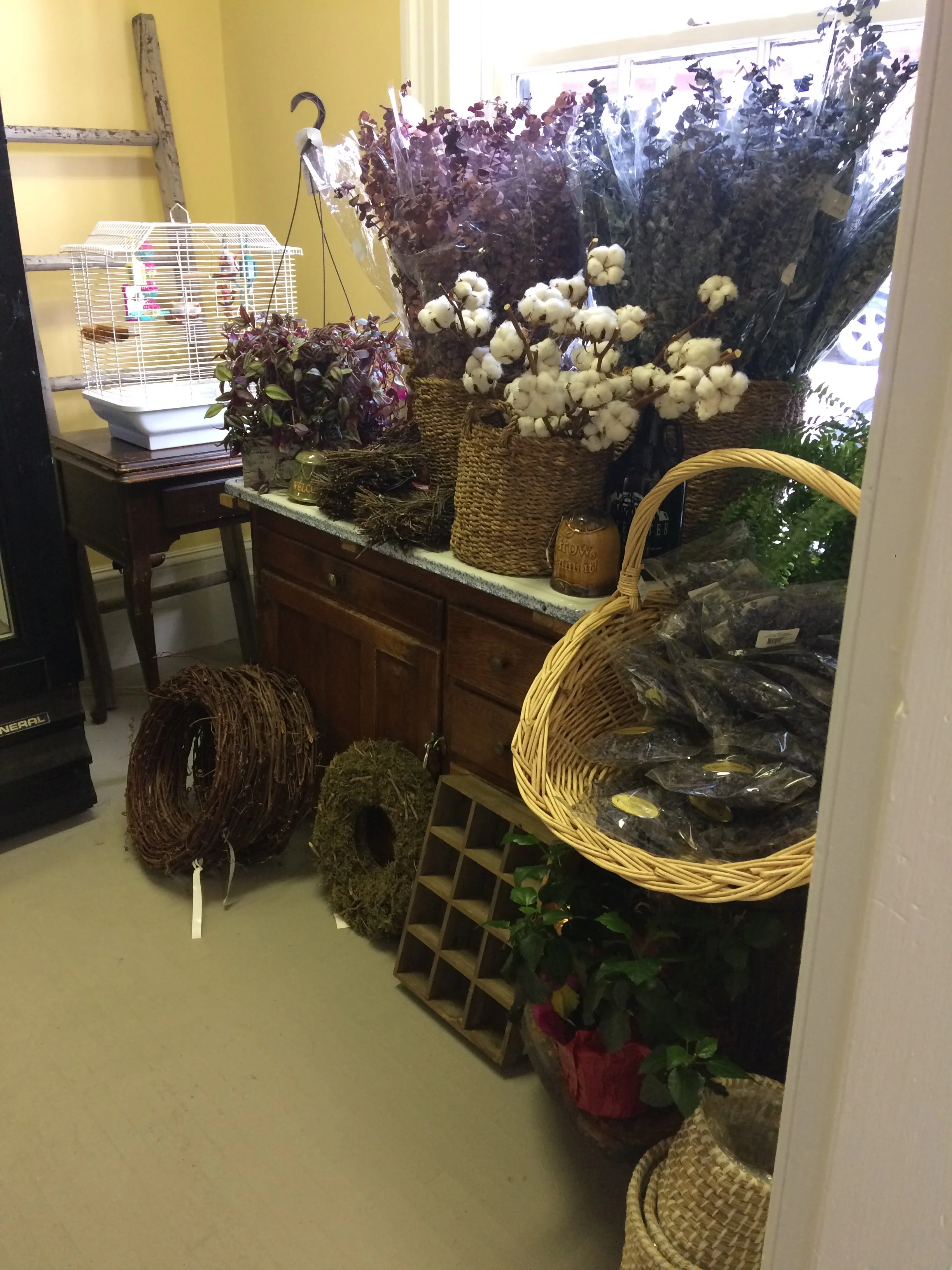 Experience — The Flower Factory