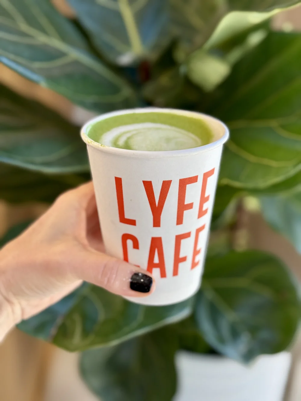 Lyfe Cafe Opens In Westport: Breakfast, Lunch & Coffee FTW — CT Bites