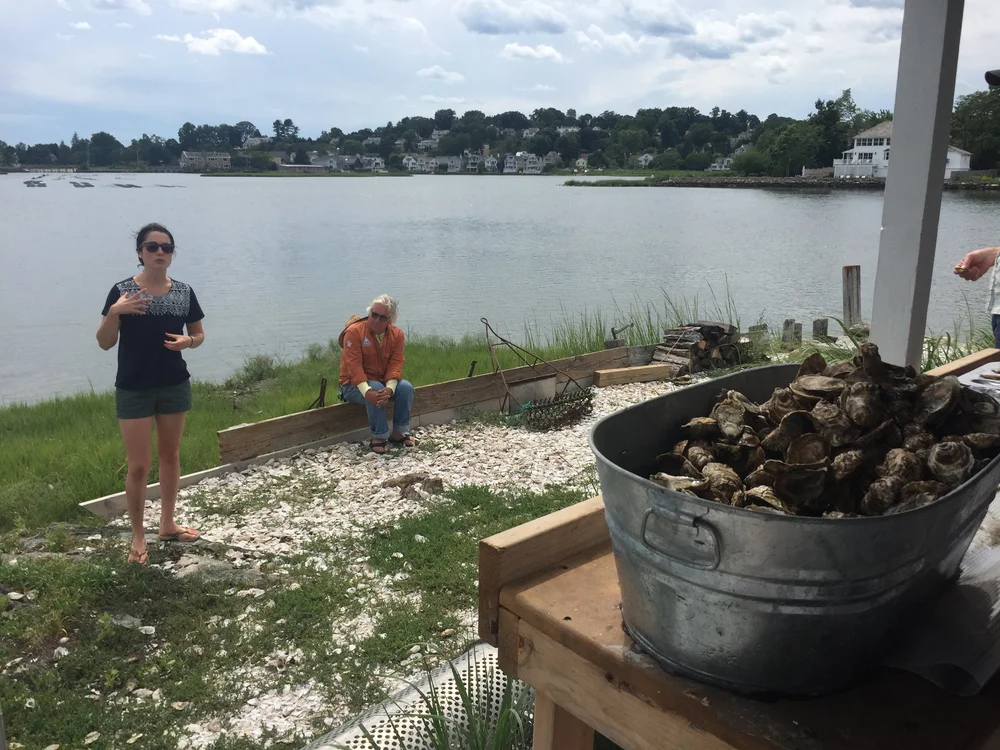Hummock Island Oyster Company Lauches "Oyster Tours" — CT Bites