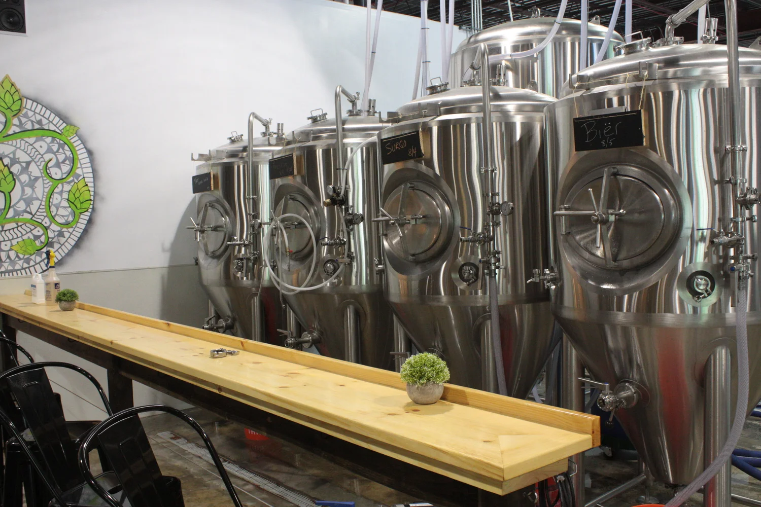 Sneak Peek at Tribus Beer Co. Opening In Milford — CT Bites