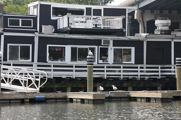 The Black Duck Cafe To Close Its Doors In Westport — CT Bites
