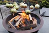 Wood Fire Food Custom Catering Events with Chef Dan Sabia — CT Bites