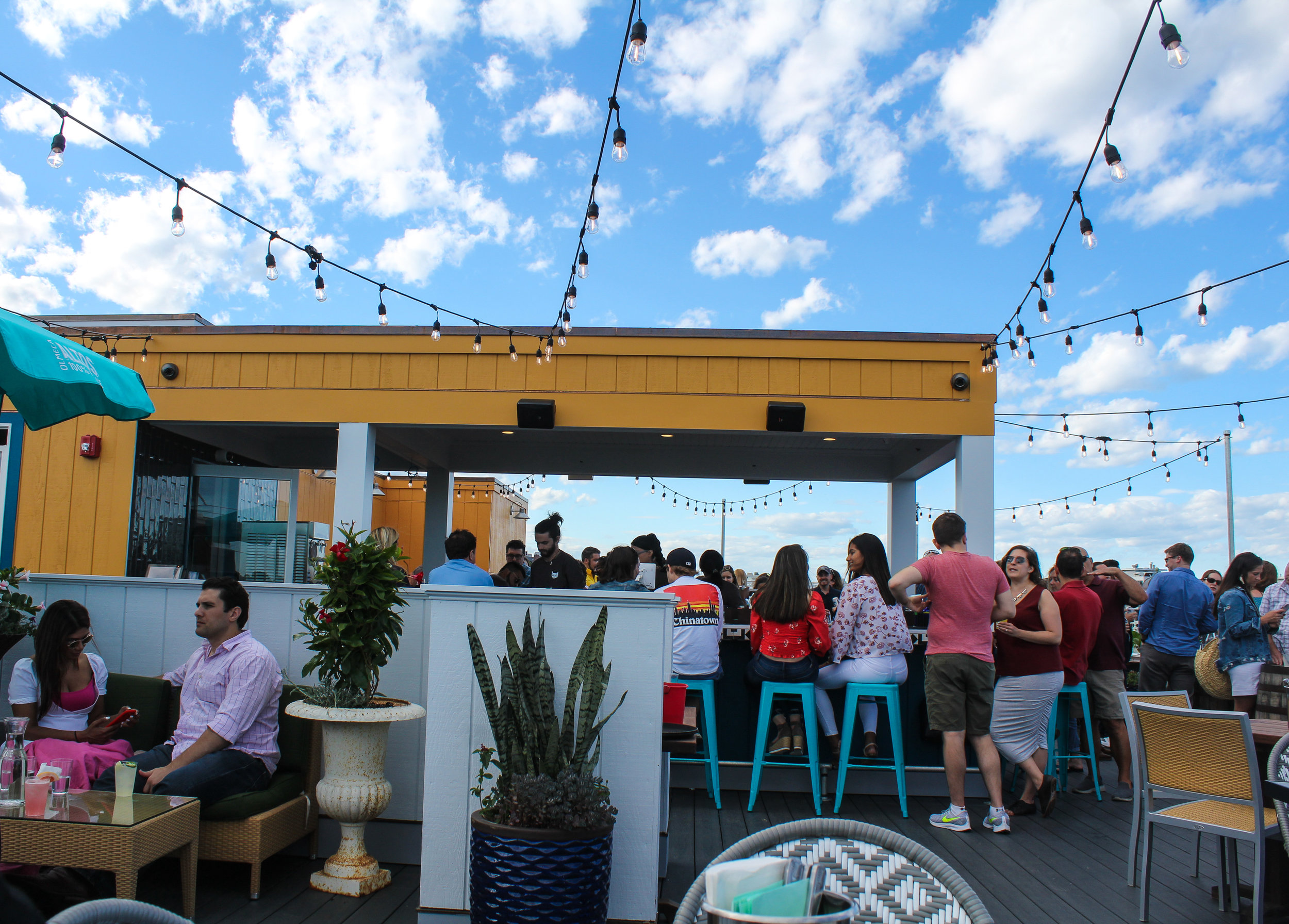 Bar Zorro, Evarito's Rooftop Bar in Downtown South Norwalk, Your New ...