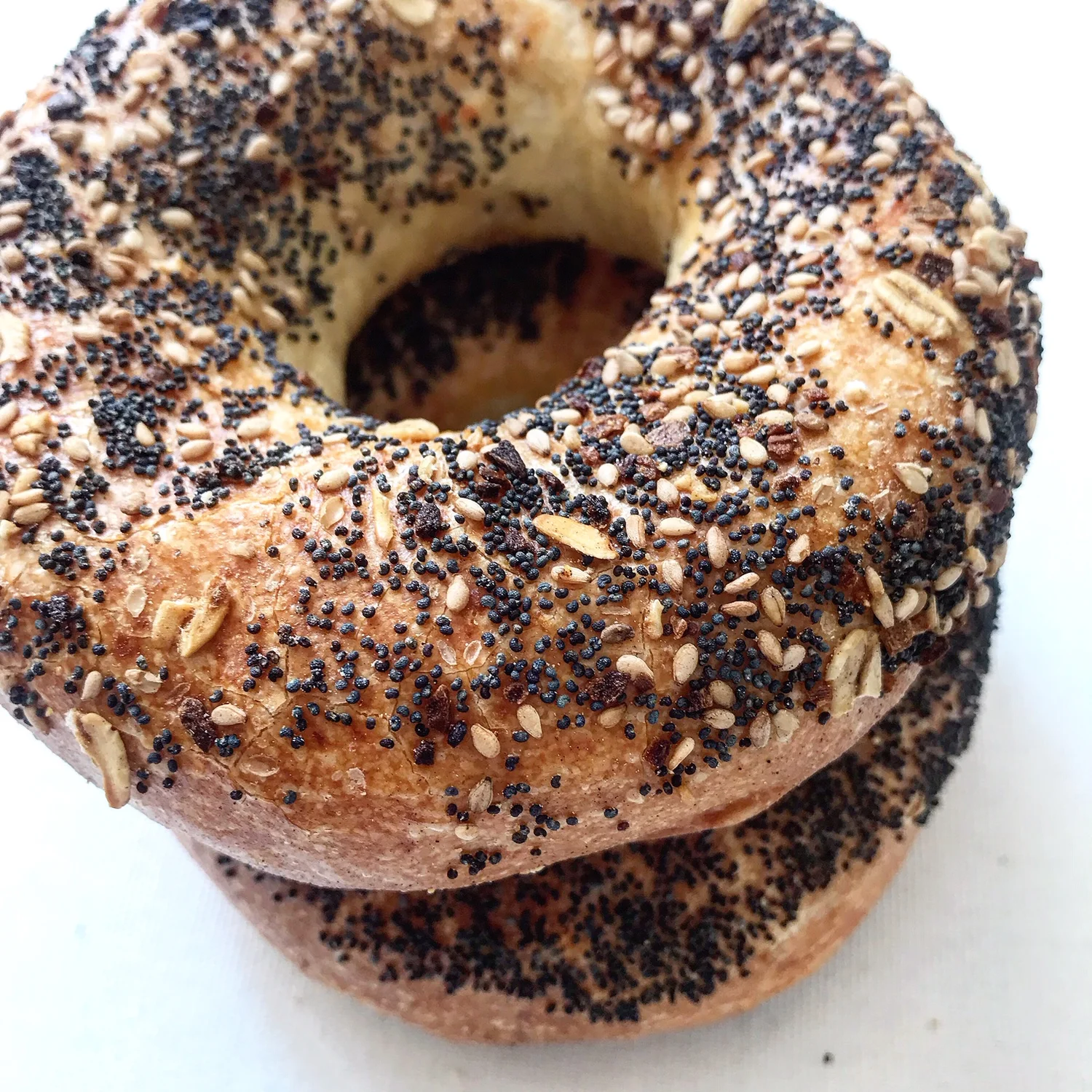 Our Search For The Best Bagels in Fairfield County CT — CT Bites